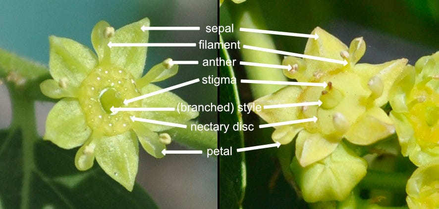 Balkan Ecology Project