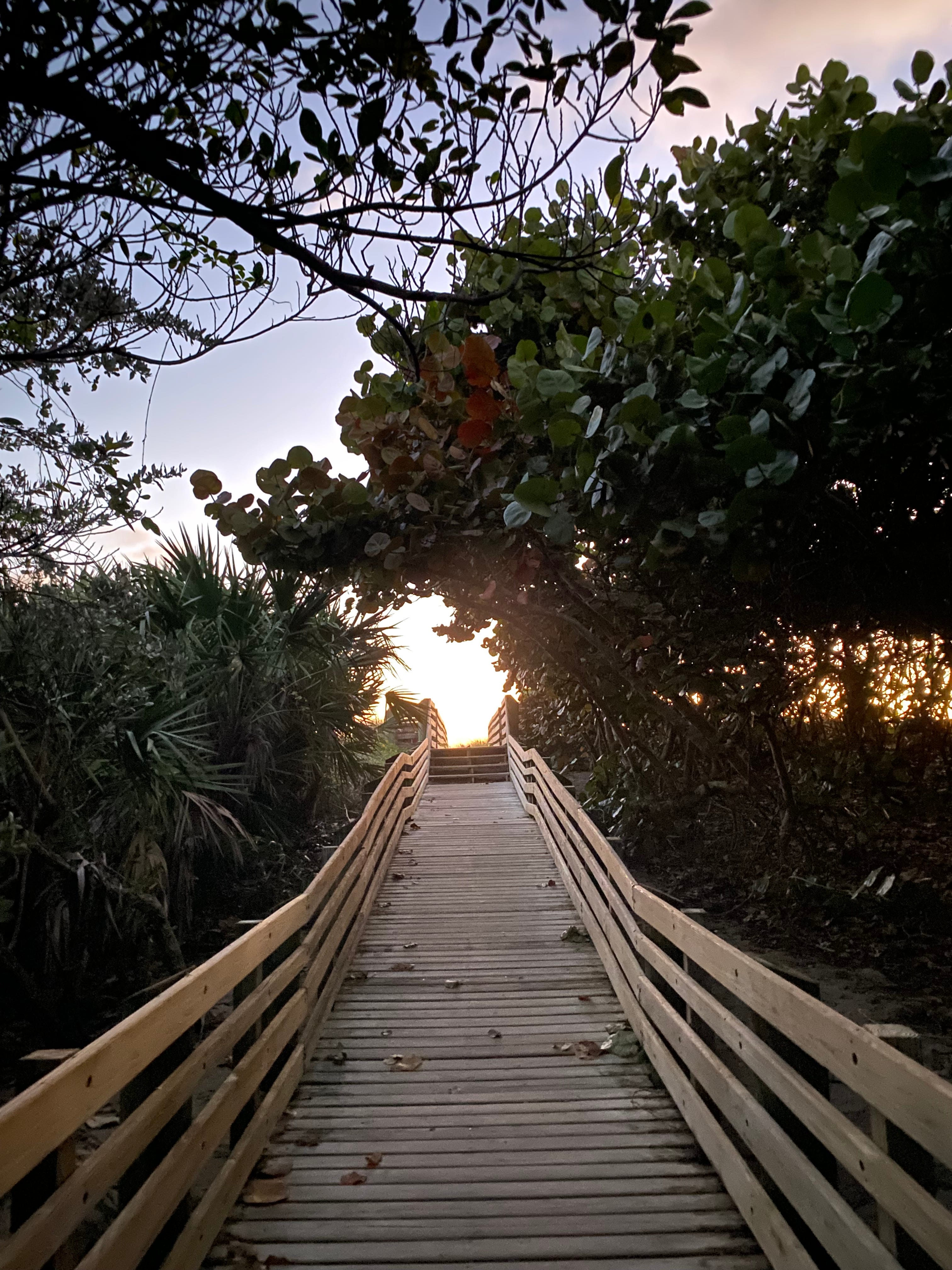 Lynn Steger Strong | Substack