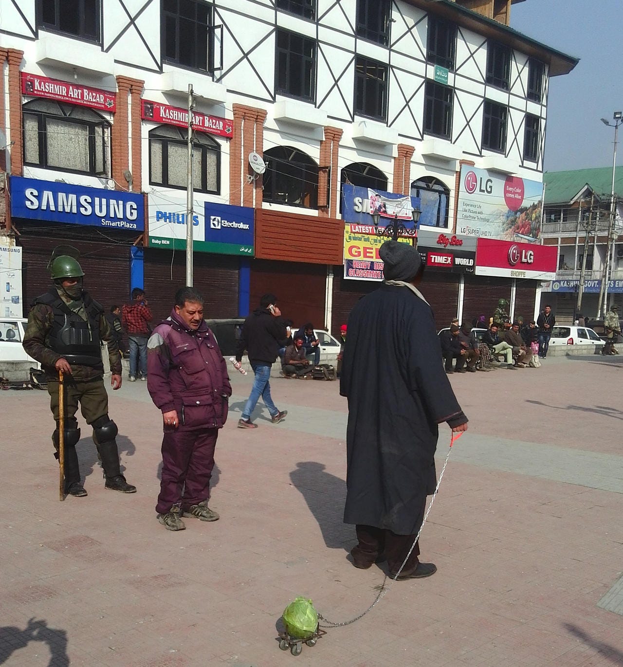 Walking a Cabbage in Kashmir—to Protest the Absurdity of War