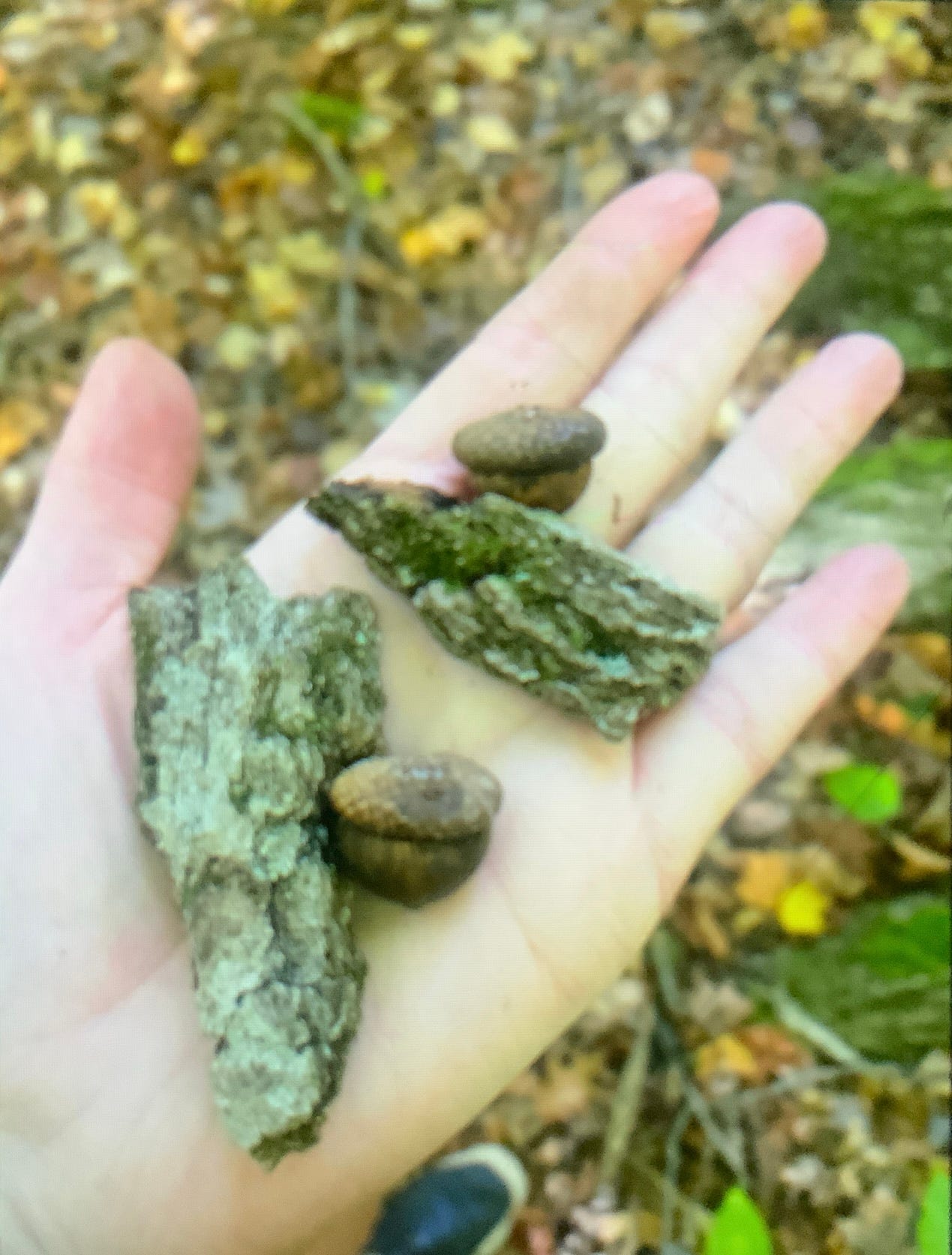 How can it be Spring without her? - by Colleen Krystyniak