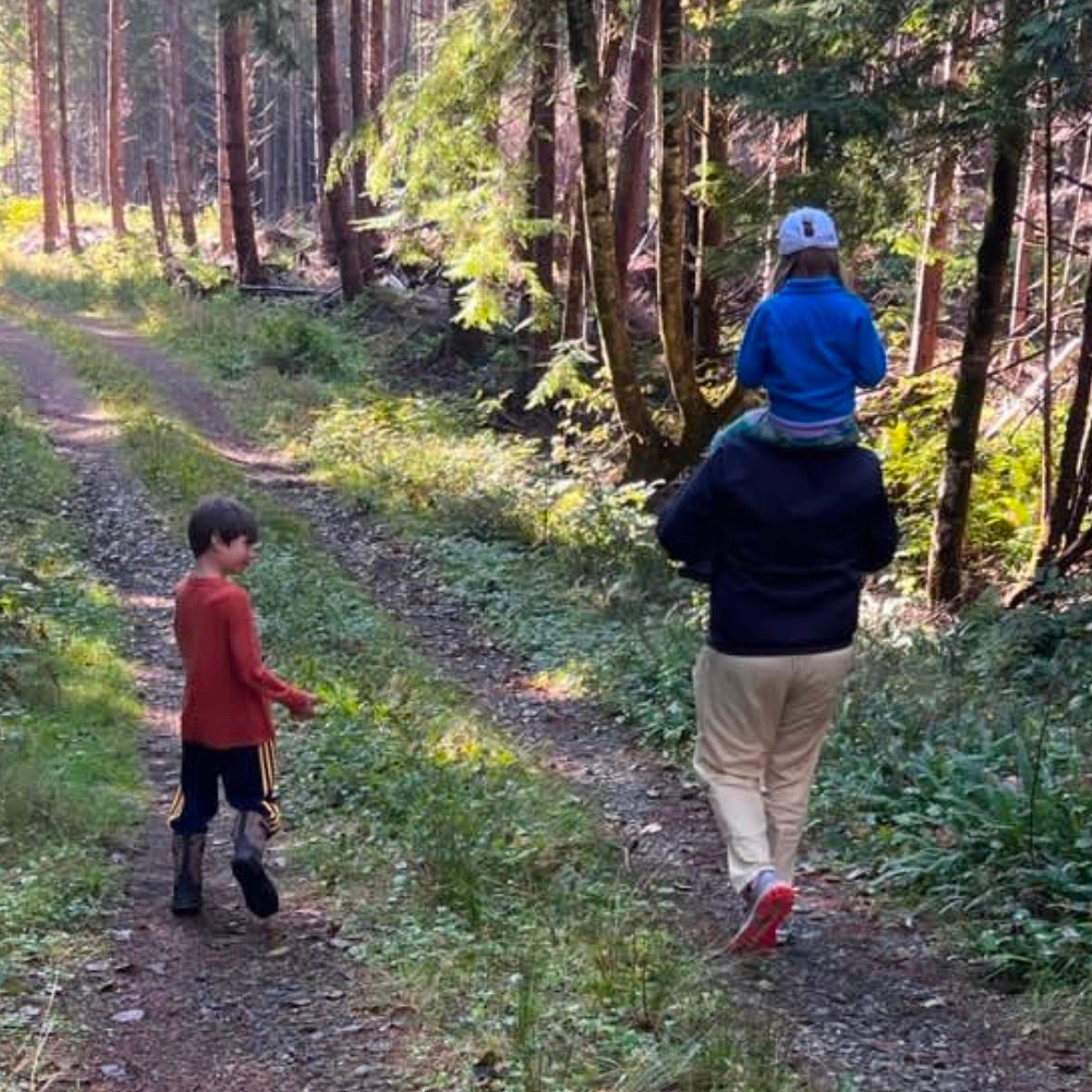 Steve Schale | Substack