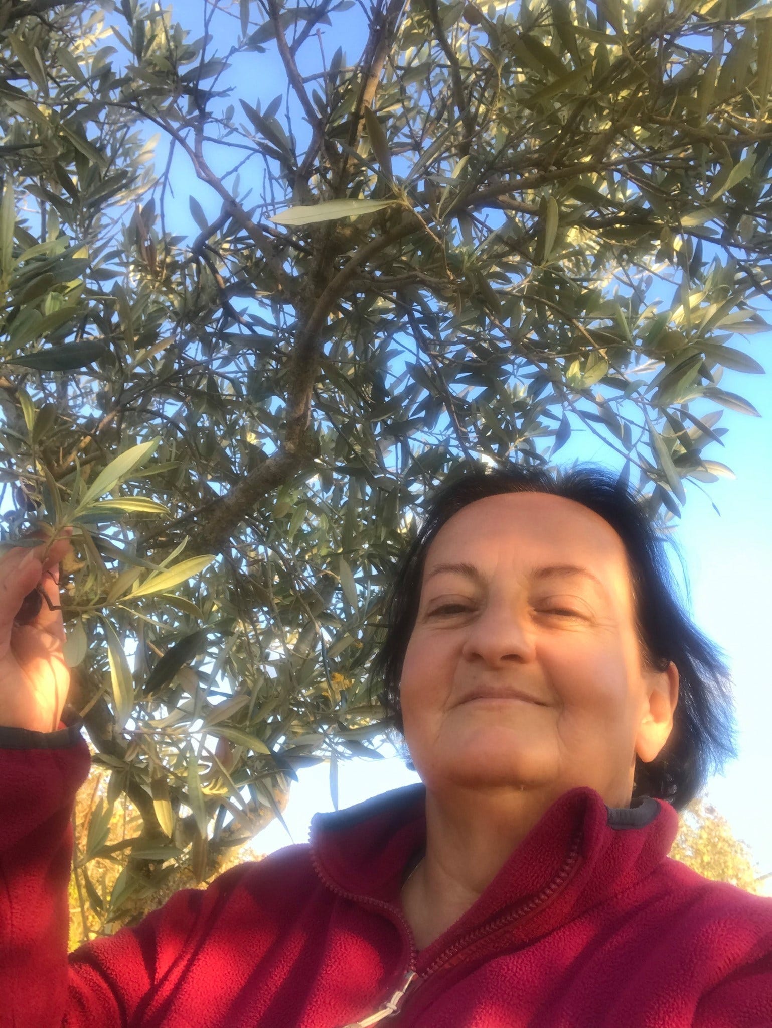 Diane Fisher | Substack