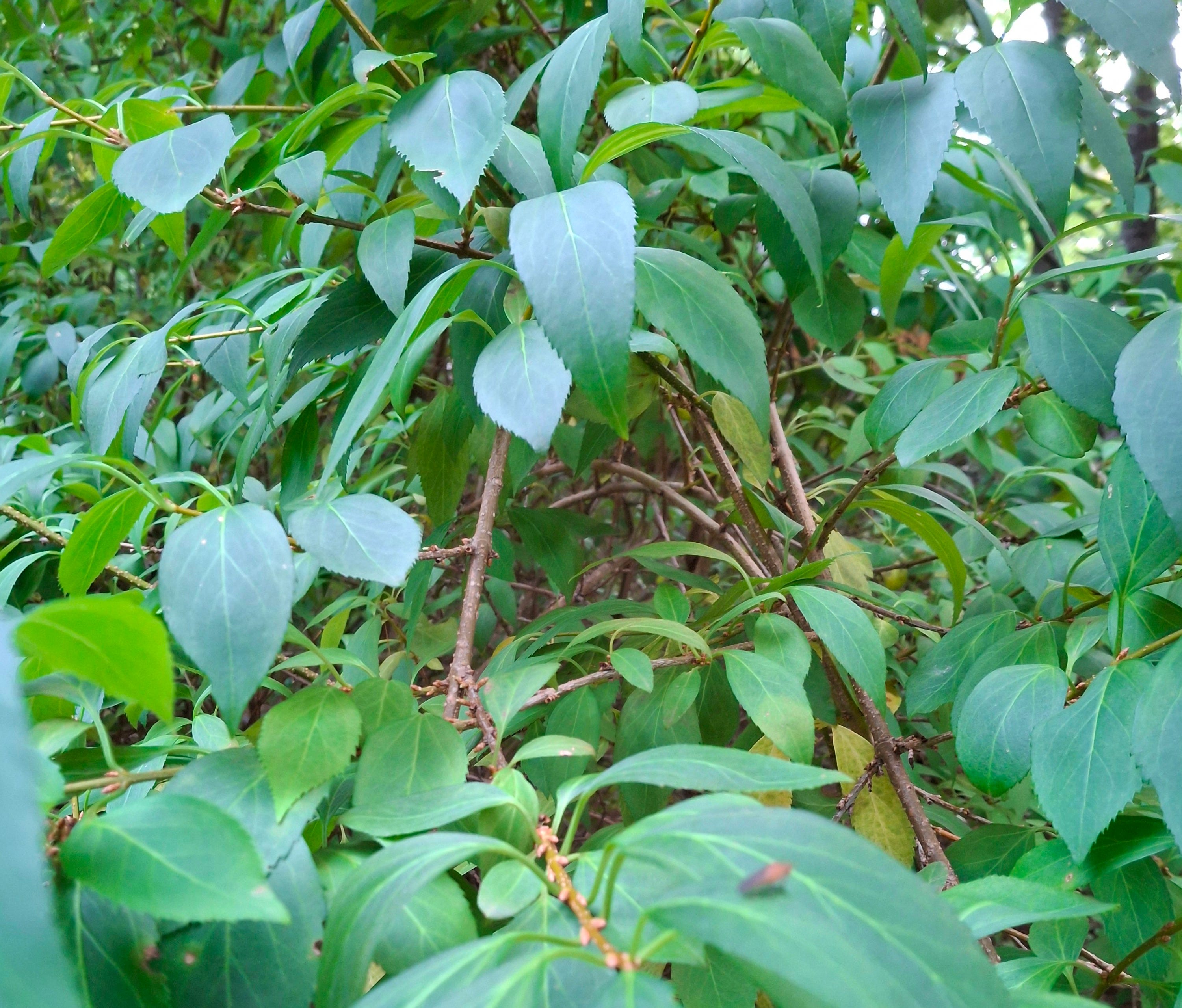 rebound - by Rob Riley - Rob’s Substack