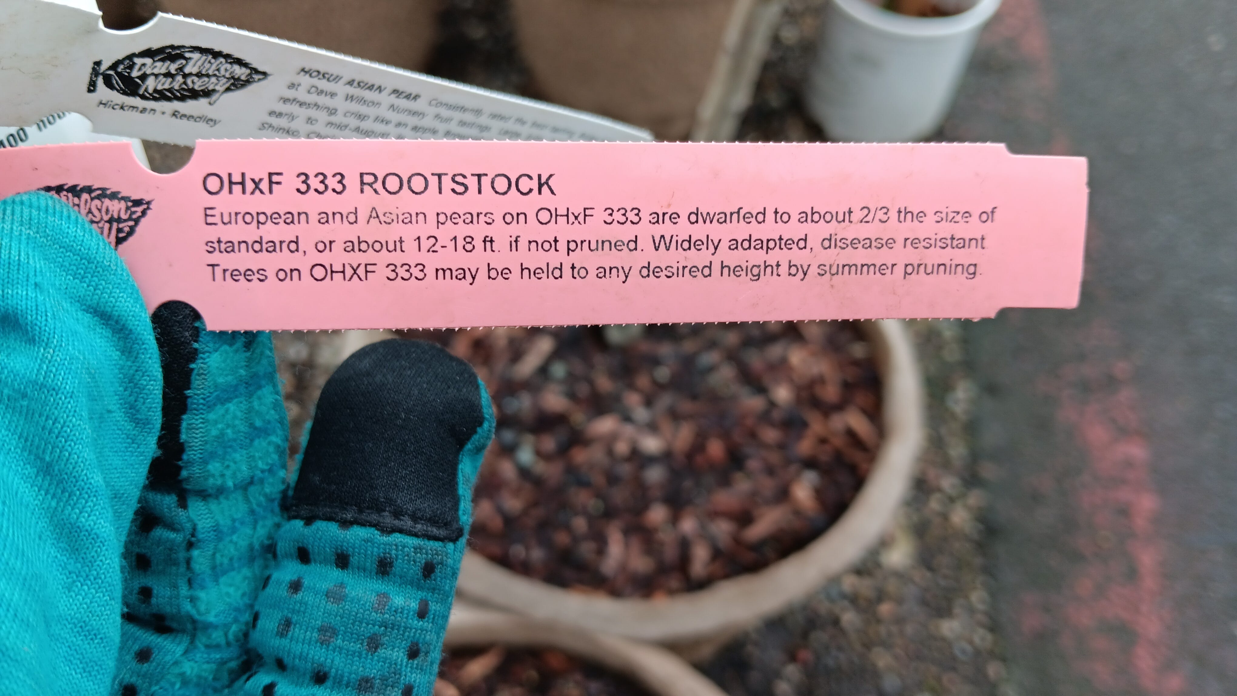 Understanding Fruit Tree Labels - by Farmer Fred Hoffman