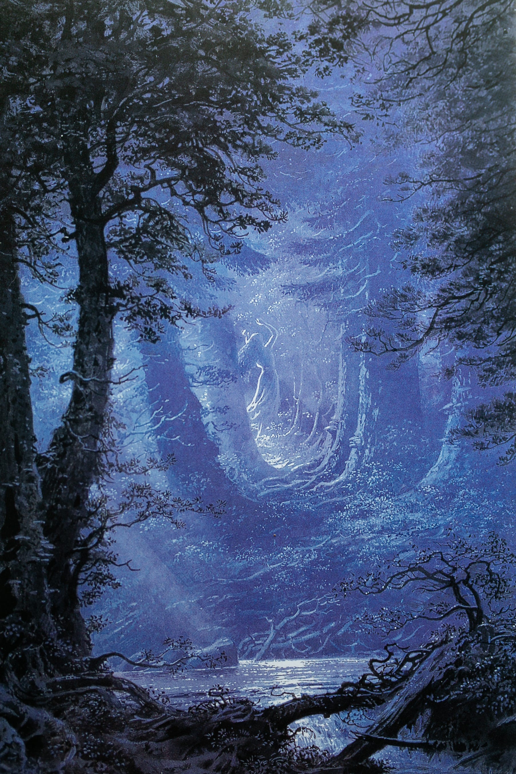 What it Takes to be a True Tolkien Fan