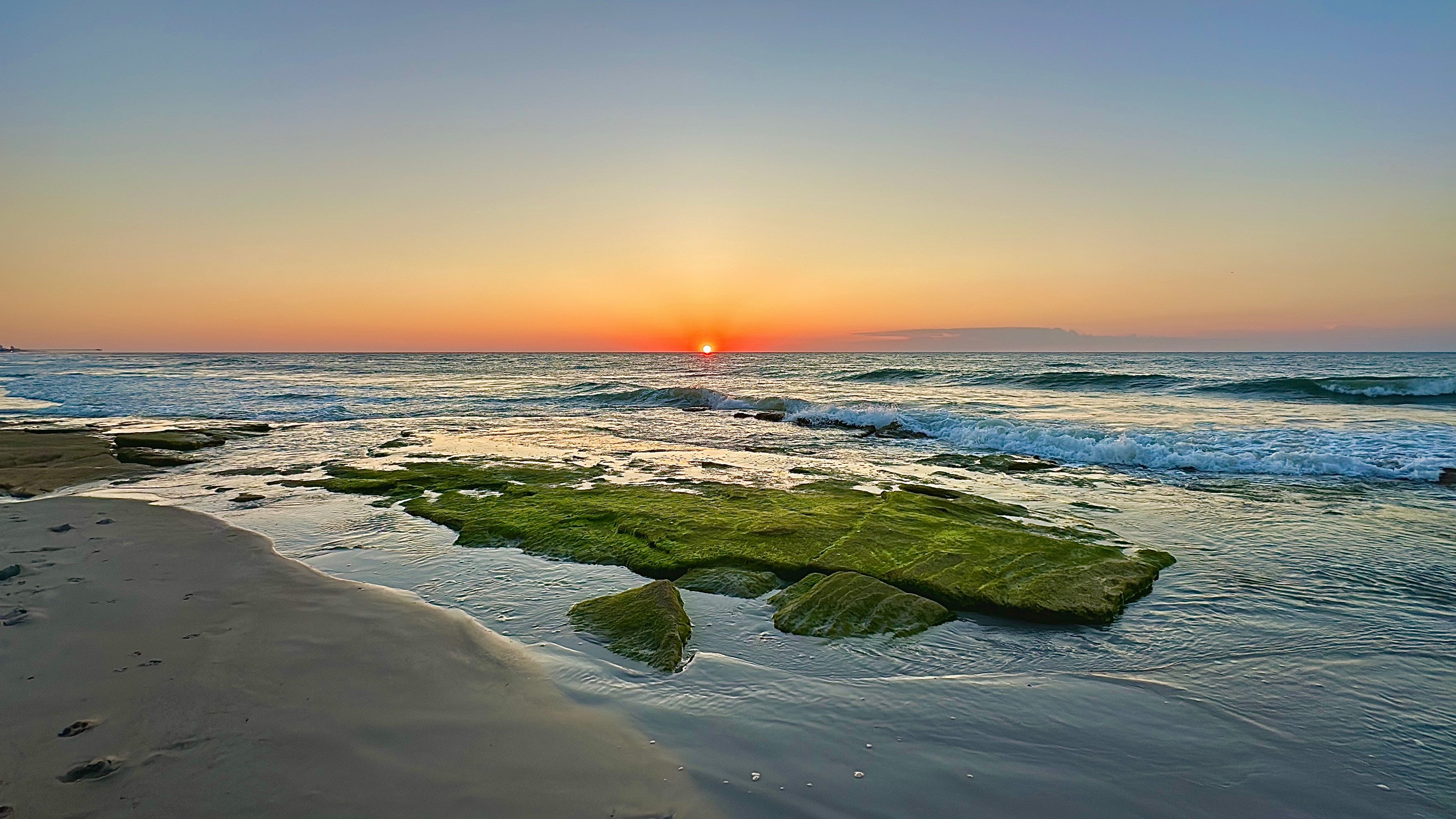 Kure Beach’s Coquina Rocks - by Elizabeth Poland Shugg