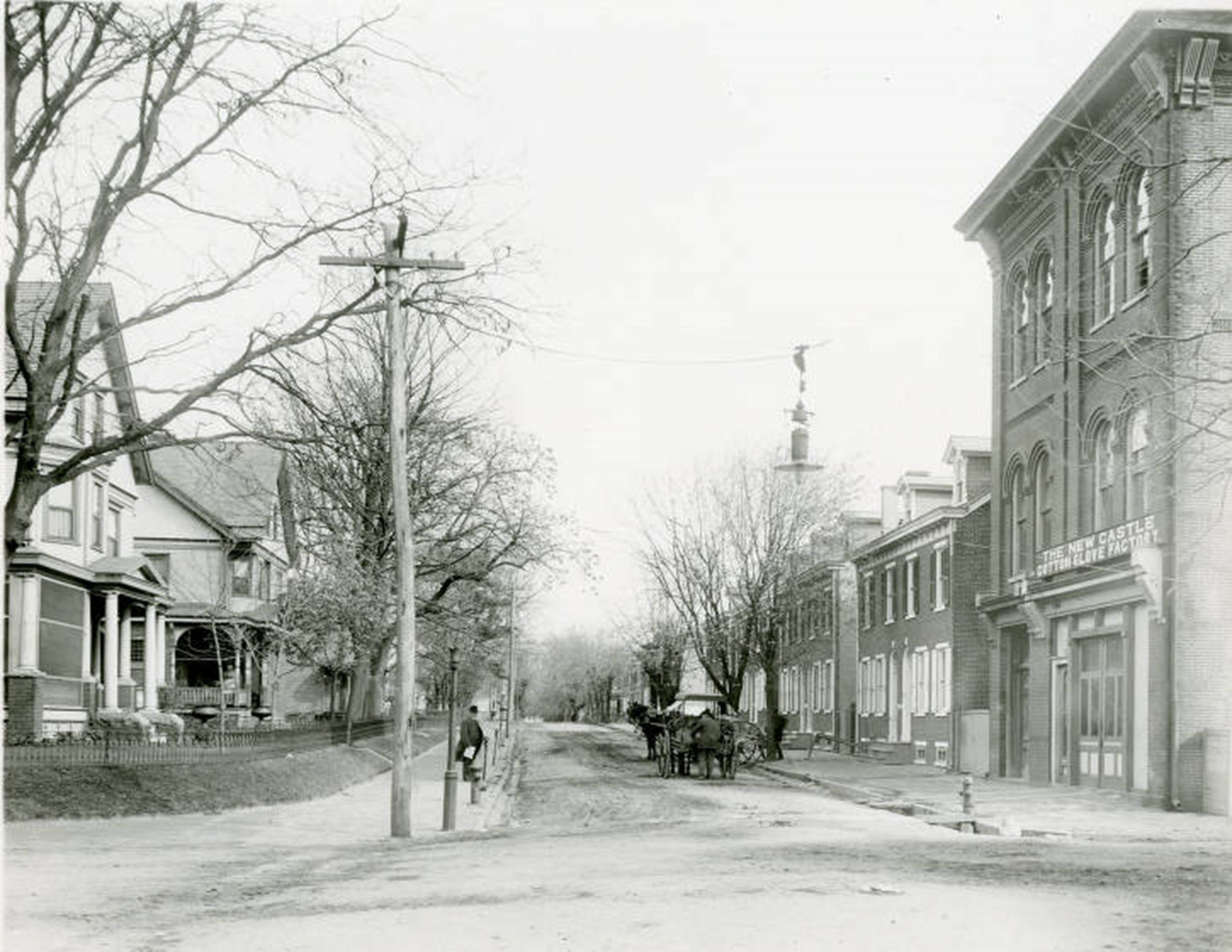 Planting Seeds of a Greener City... in the 1930s
