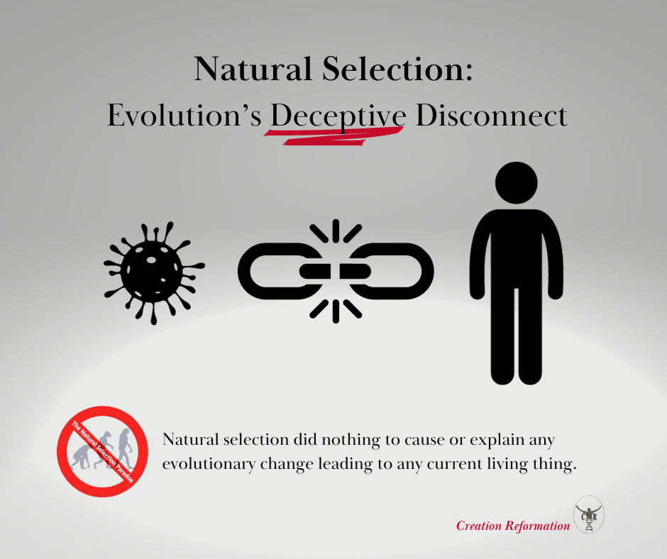 Natural Selection: Evolution’s Deceptive Disconnect