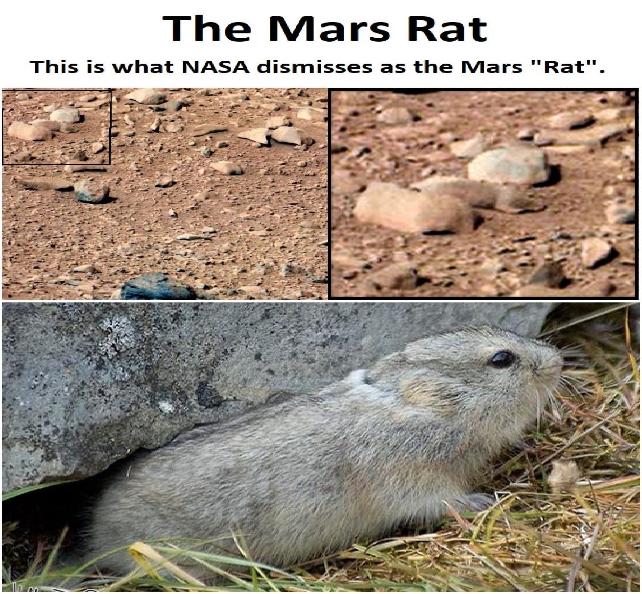 NASA Anomalies - by AlternativeNarrative