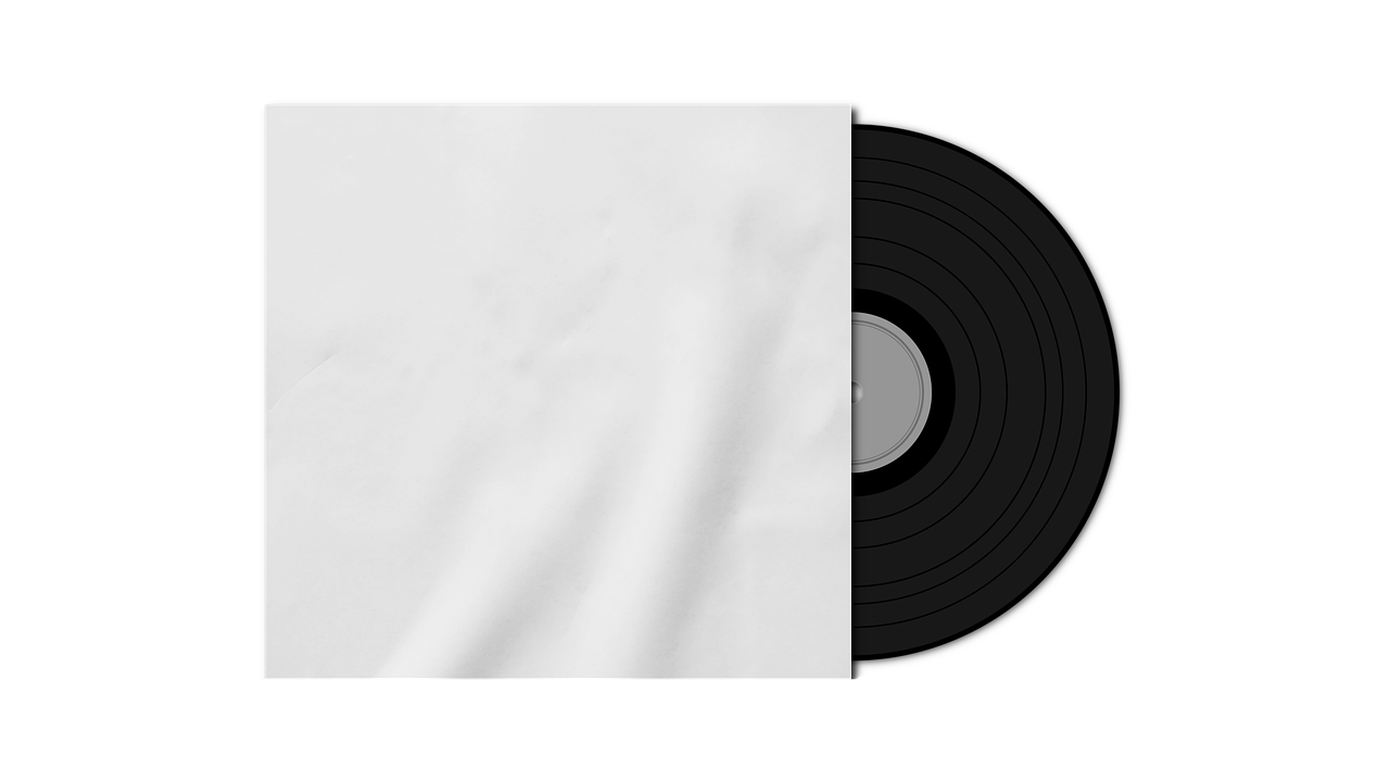 Make your records last forever - by Andres - The Vinyl Room