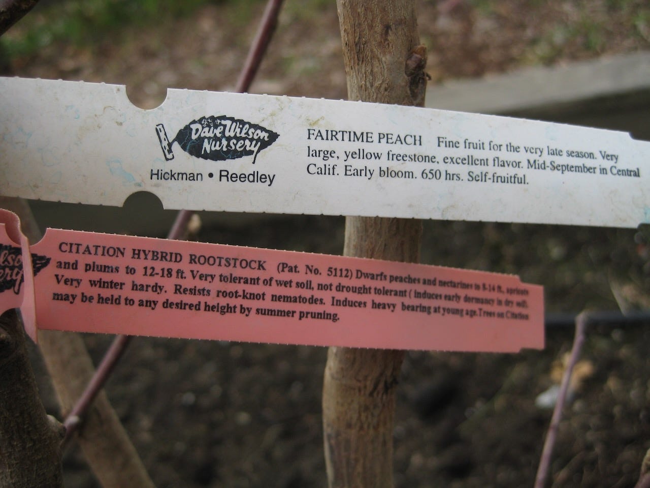 Understanding Fruit Tree Labels - by Farmer Fred Hoffman