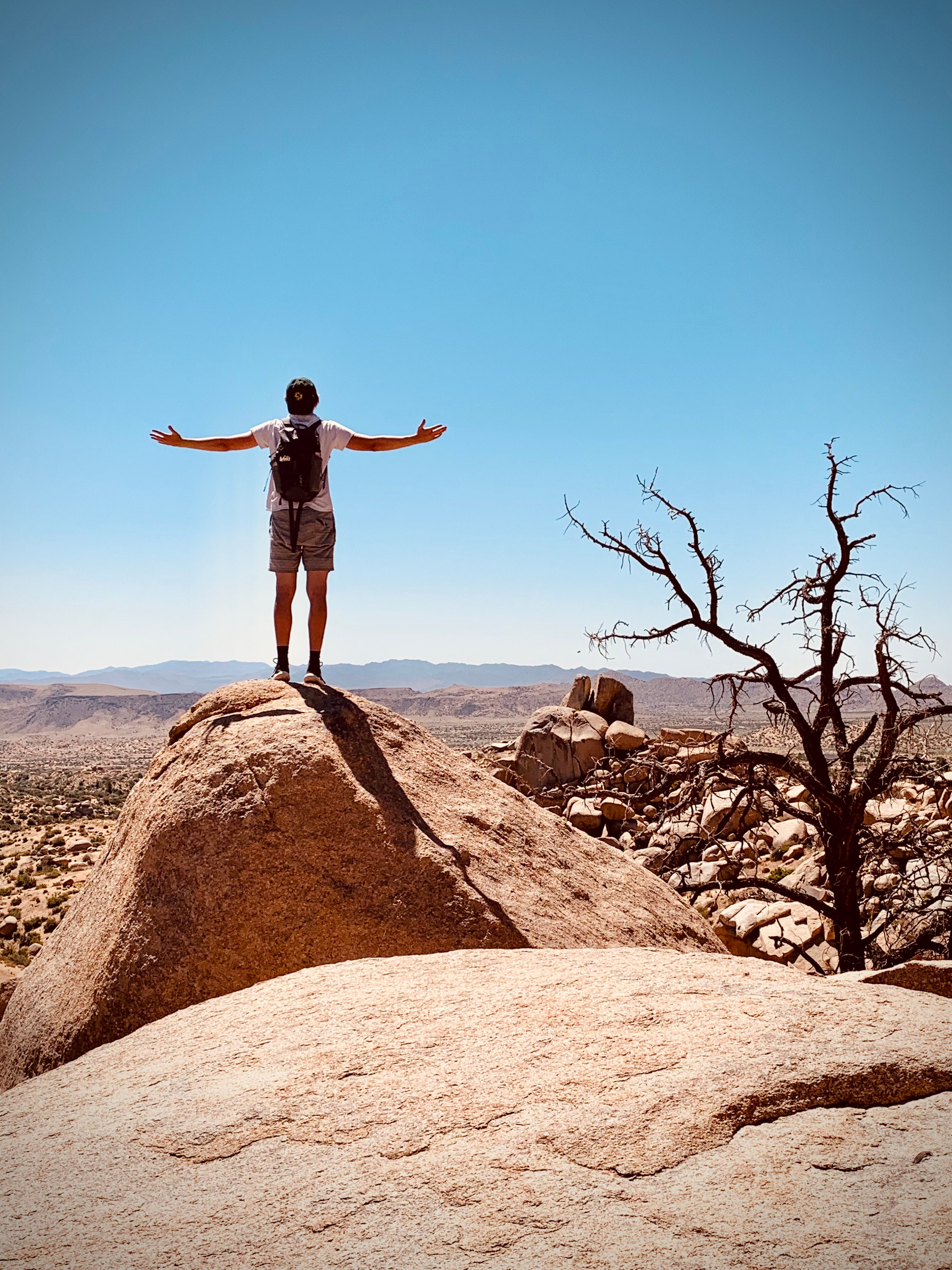 Heart~Intel Briefing - by Lori Wallace - Career Ecology