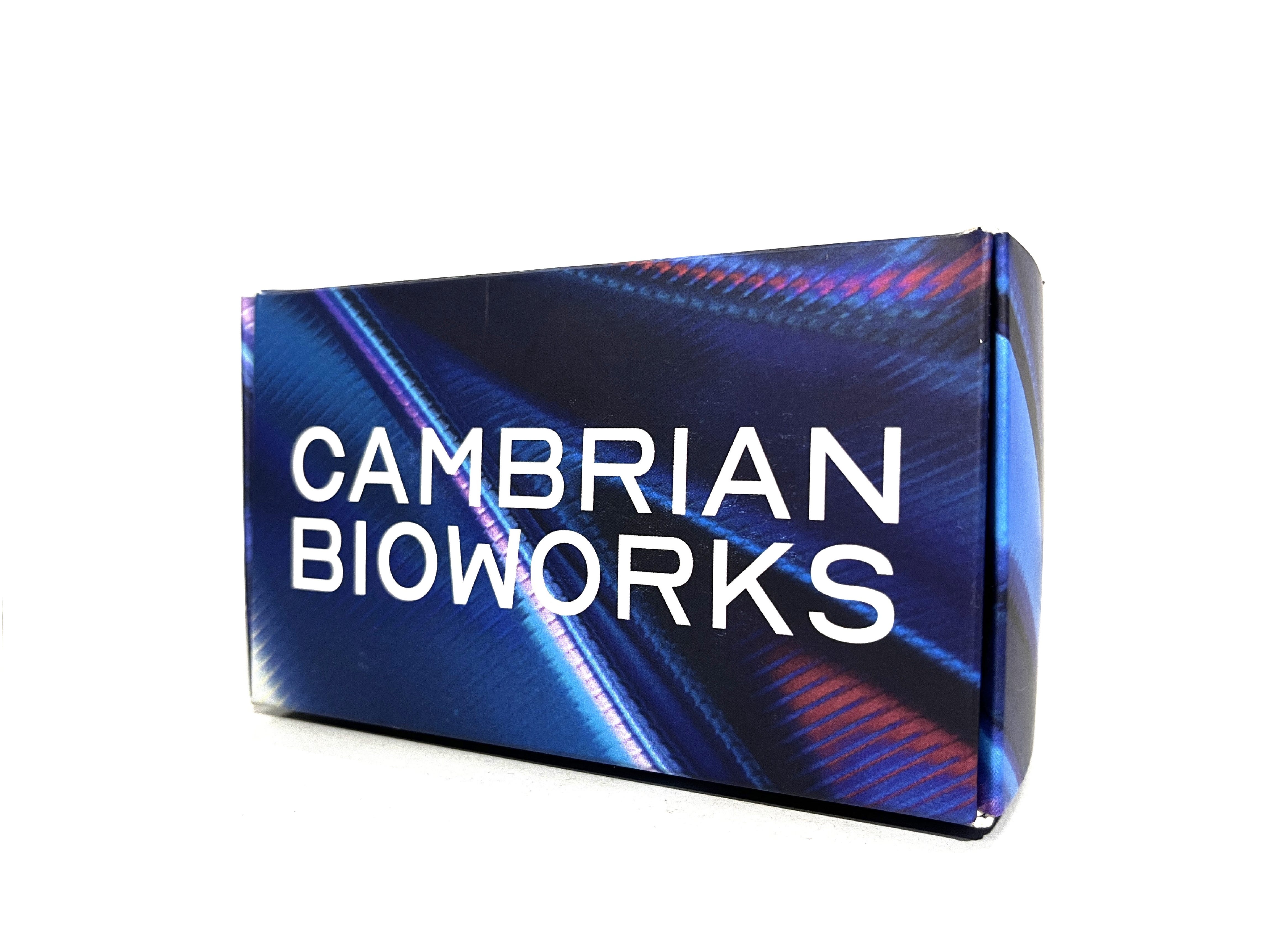 Cambrian launches its FFPE kits🎉 - by Himani