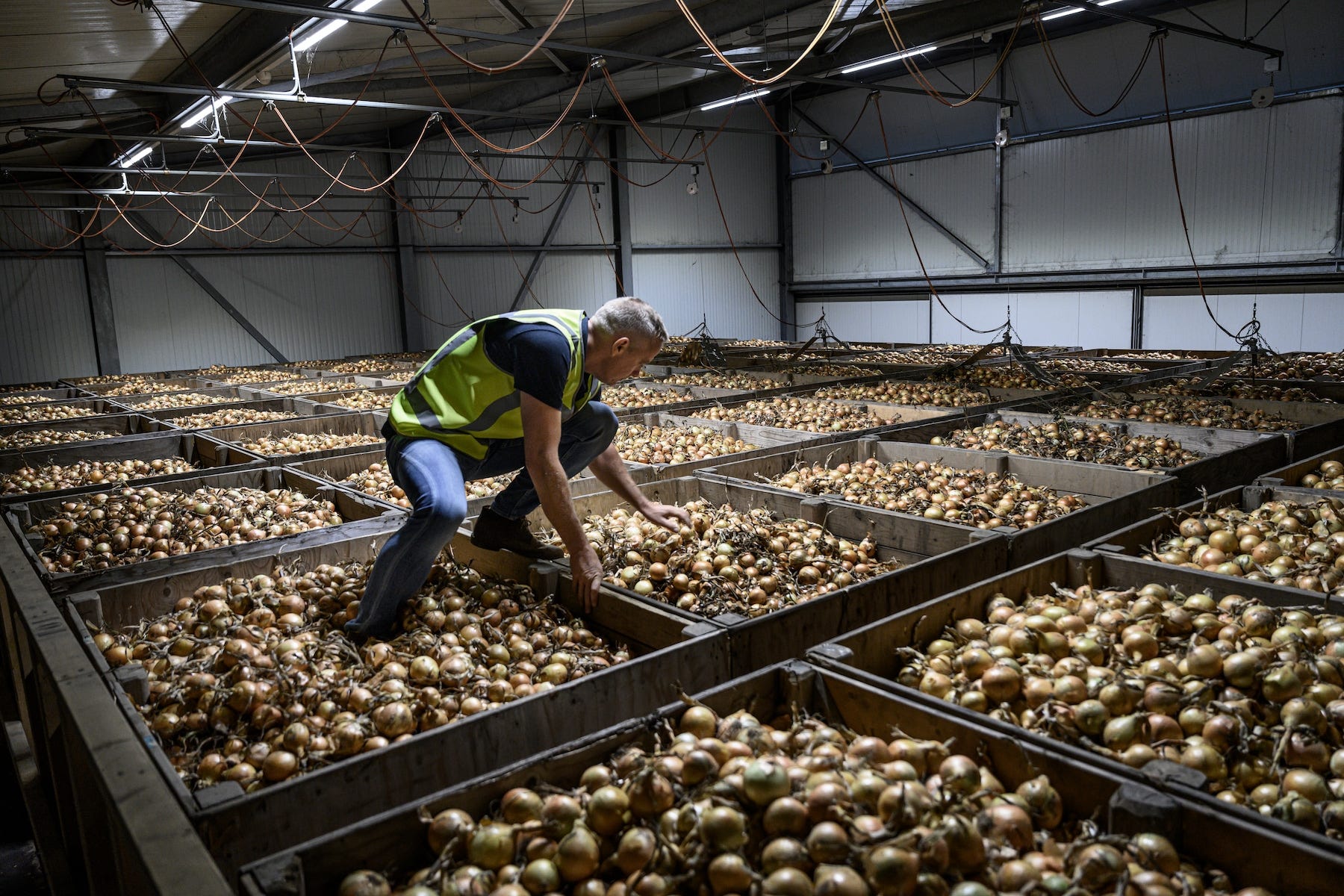 Food, glorious food - by Bill Alstrom (MAtoMainetoMA)