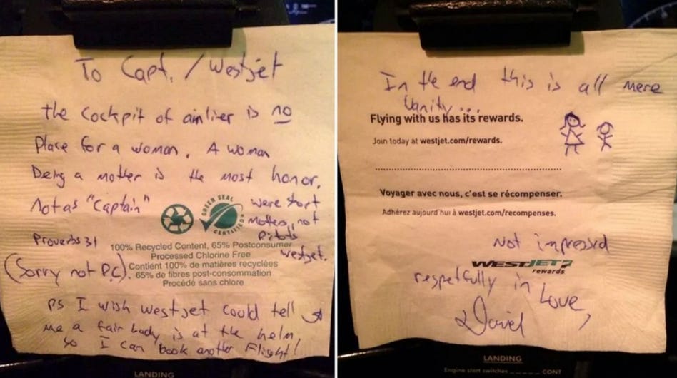 The Curious Case of Delta Pilot Andrea Ratfield