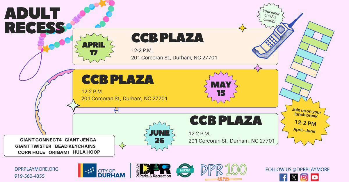 Introducing Adult Recess