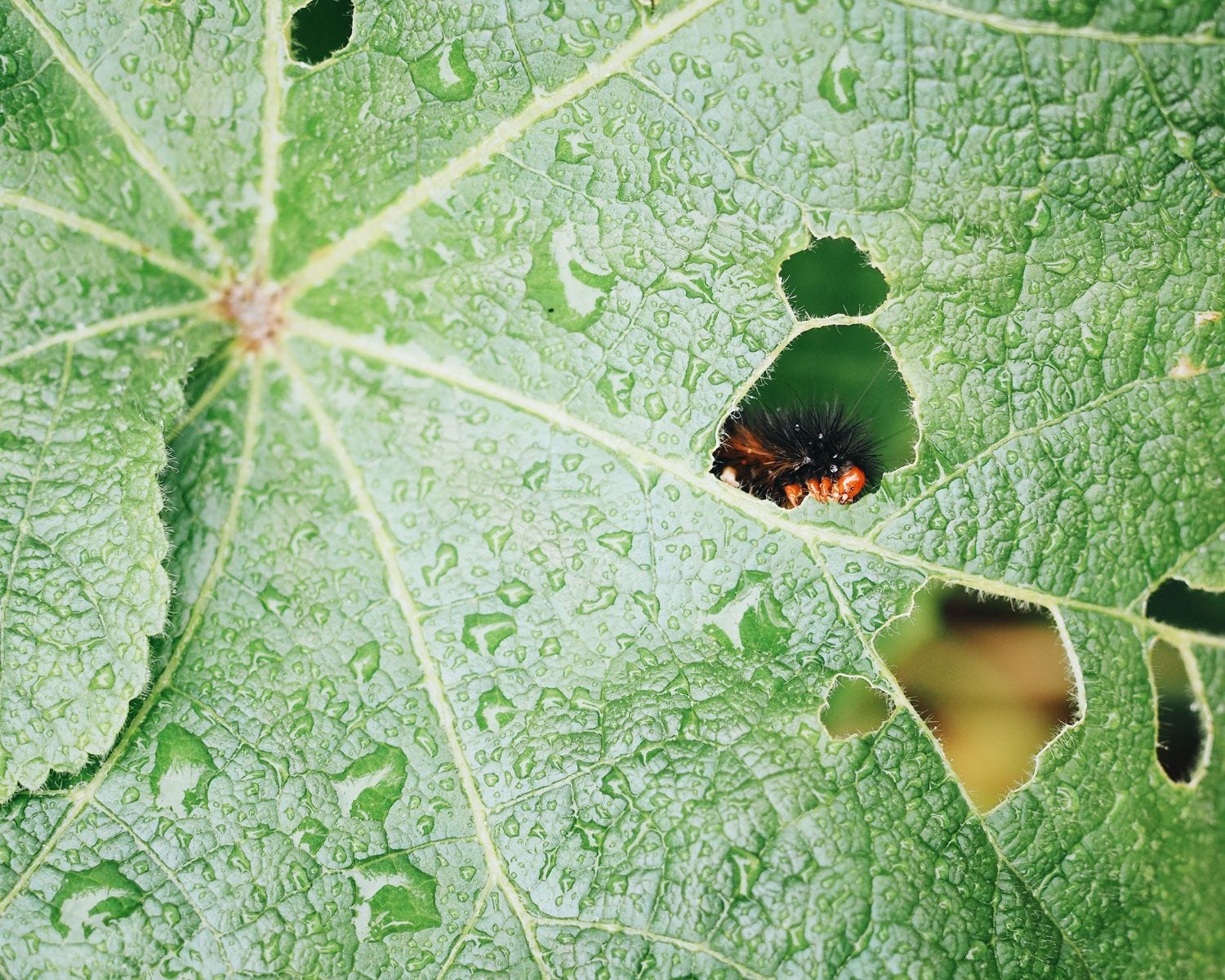 Farewell, perfection! So long, control!