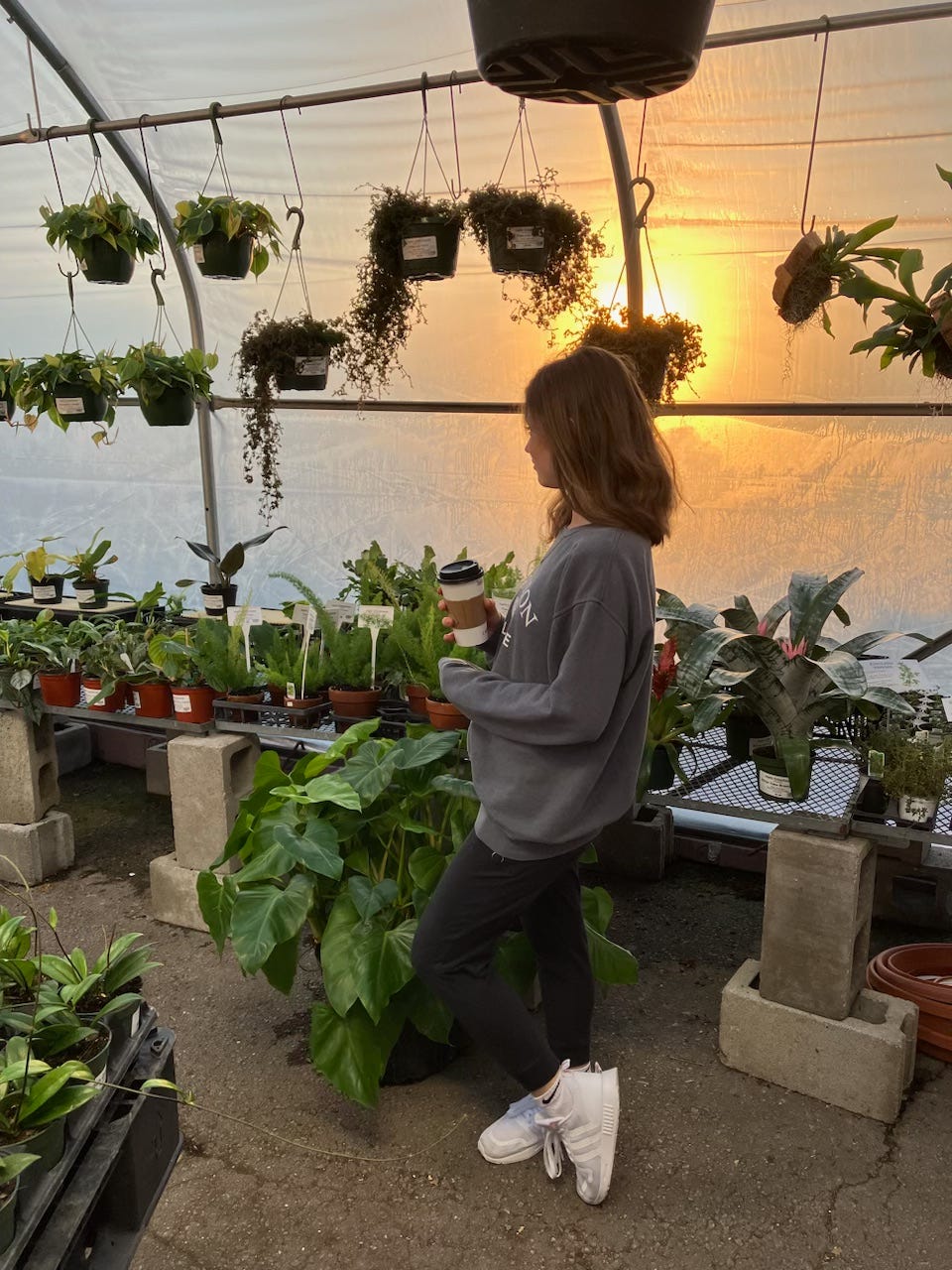 Cassandra Barrett | Substack