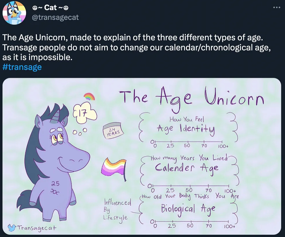 The Drop Zone - A duck on a bike