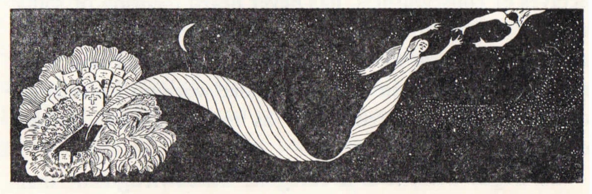 Tail End of Valor - by Vance Pollock - American Archvillain