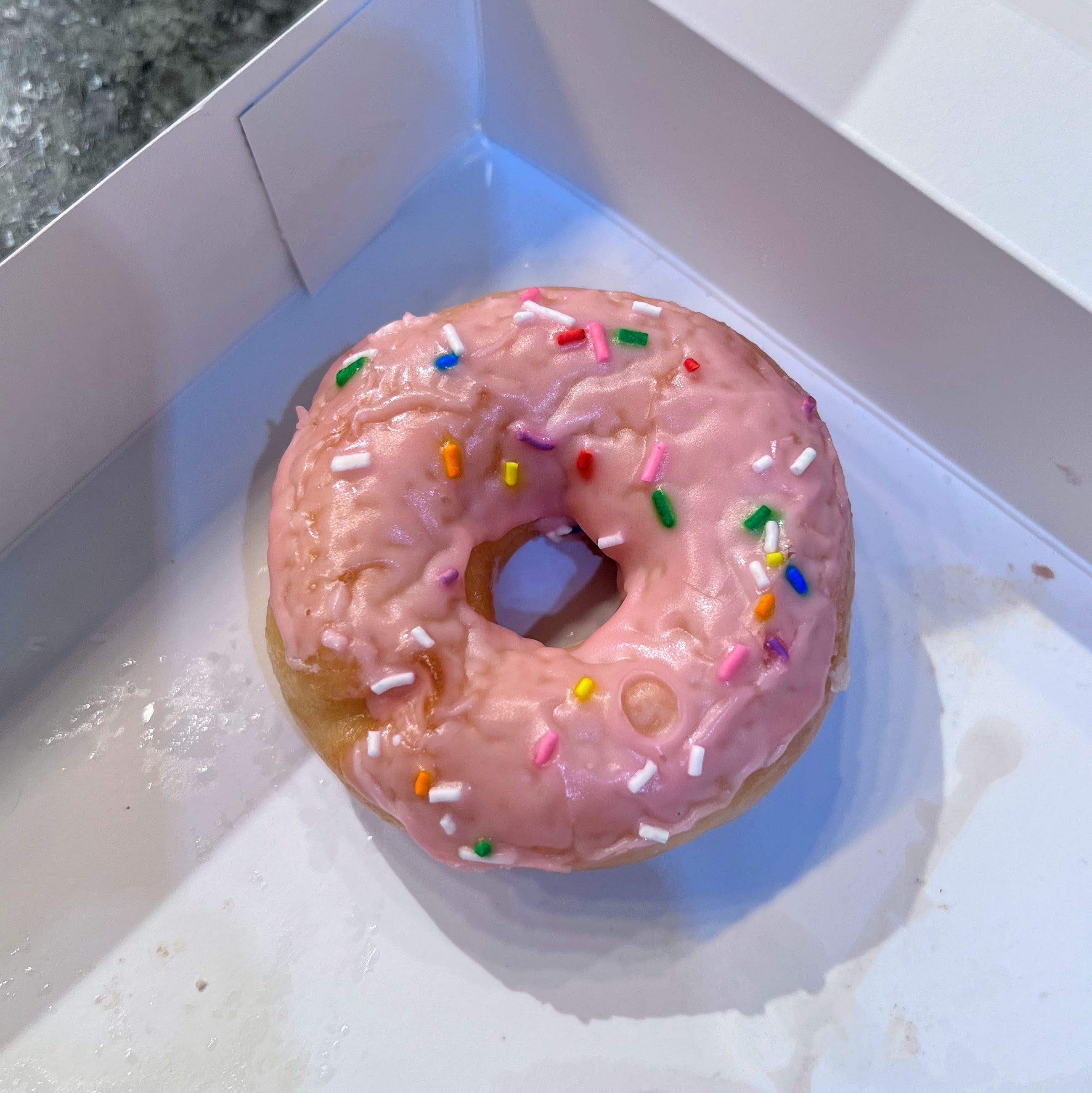 I Had A Lot of Fight Left In Me - Amy Gabrielle's Substack