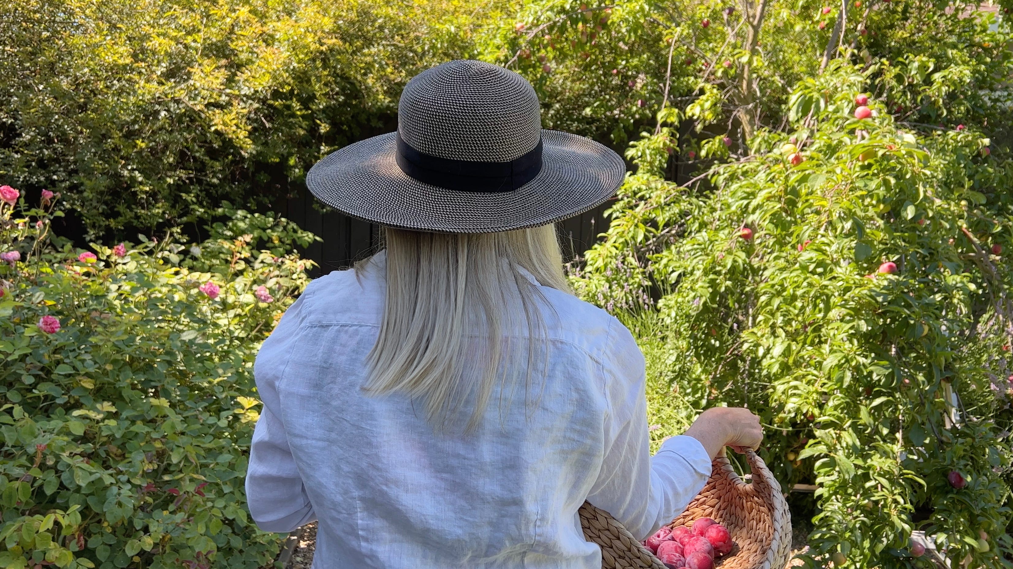 In the Summer Garden - by Krista Harris | Edible SB