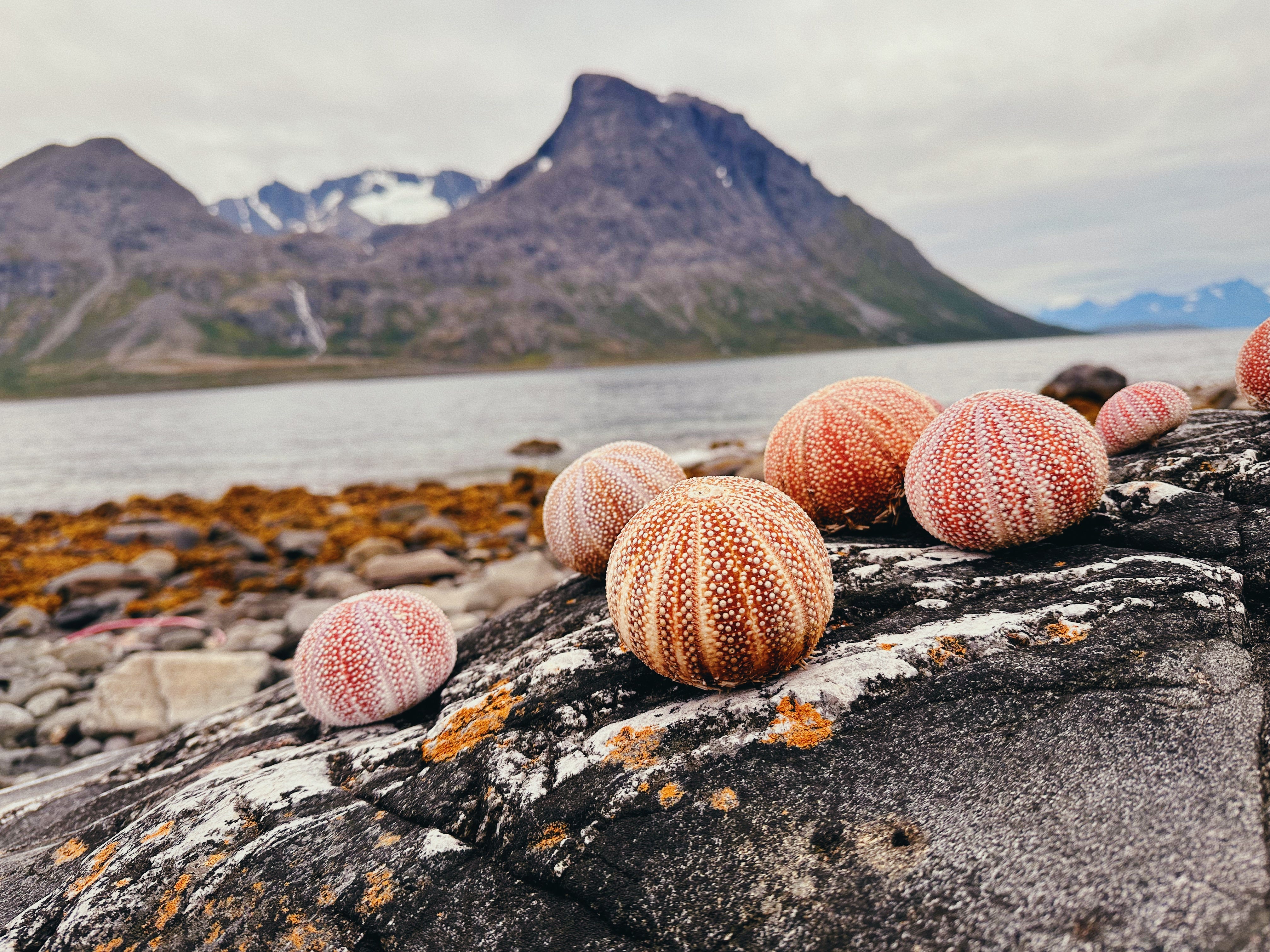 Capturing a Place - Creative Fuel with Anna Brones