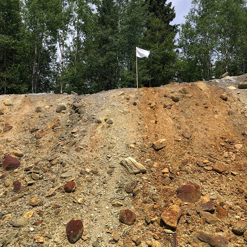 On Surrender - by Robert Labossiere - 'Toonsday