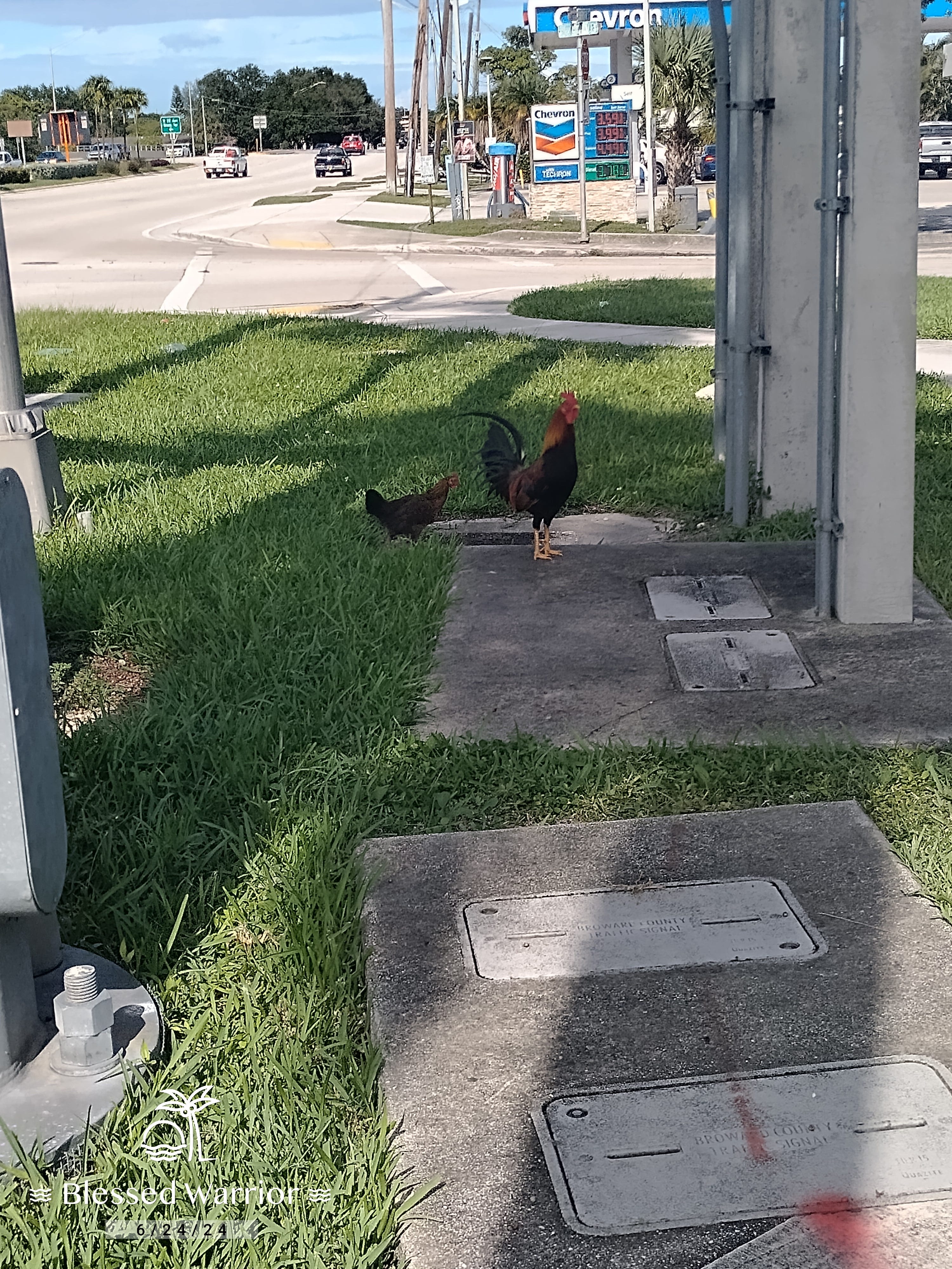 What's Next?? - by Blessed Warrior Reina - Reina’s Substack