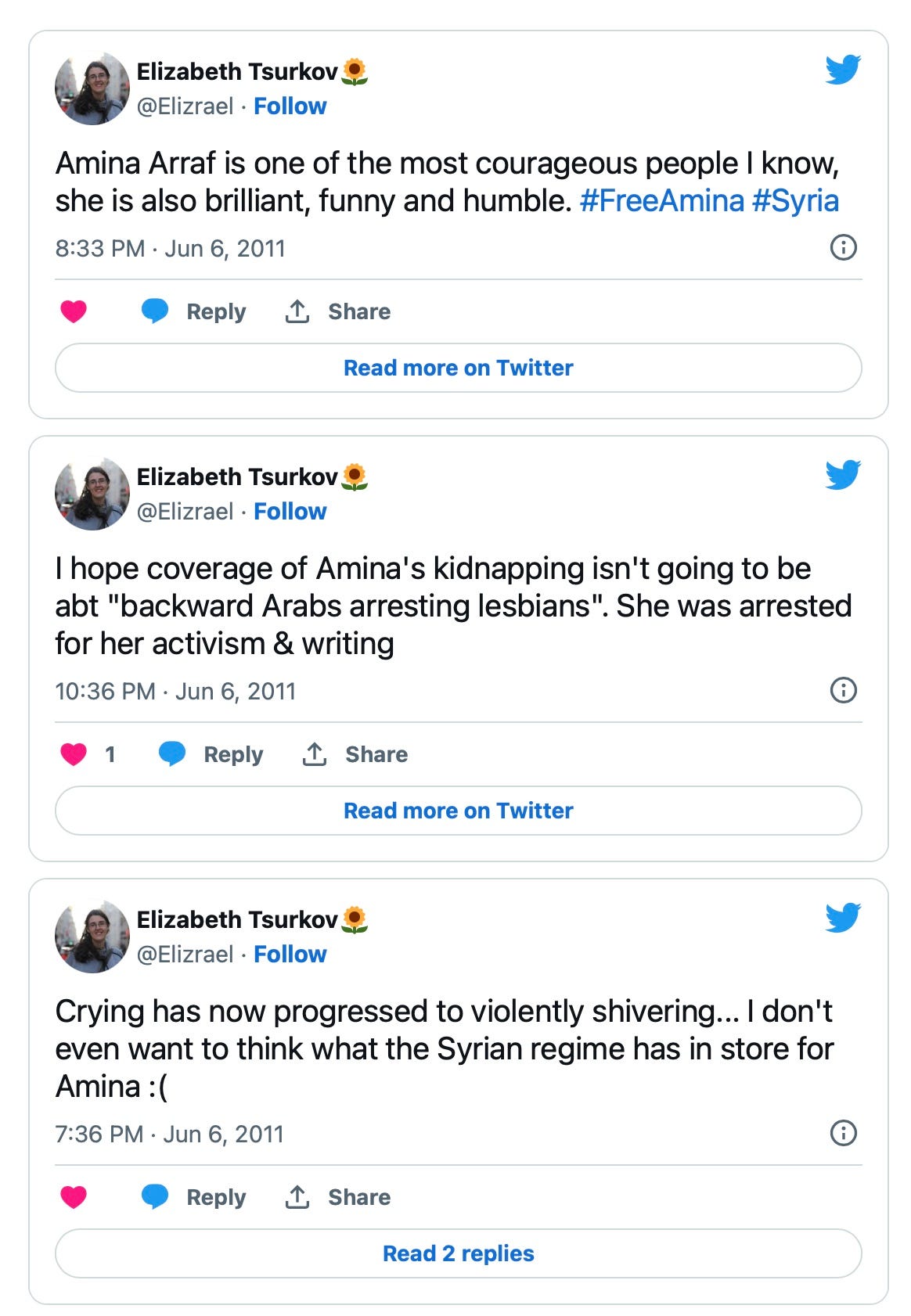 What we know about Elizabeth Tsurkov - by Asa Winstanley