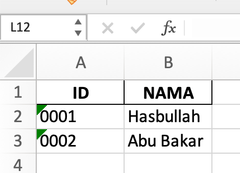 Python: Pandas Dataframe ke File Excel