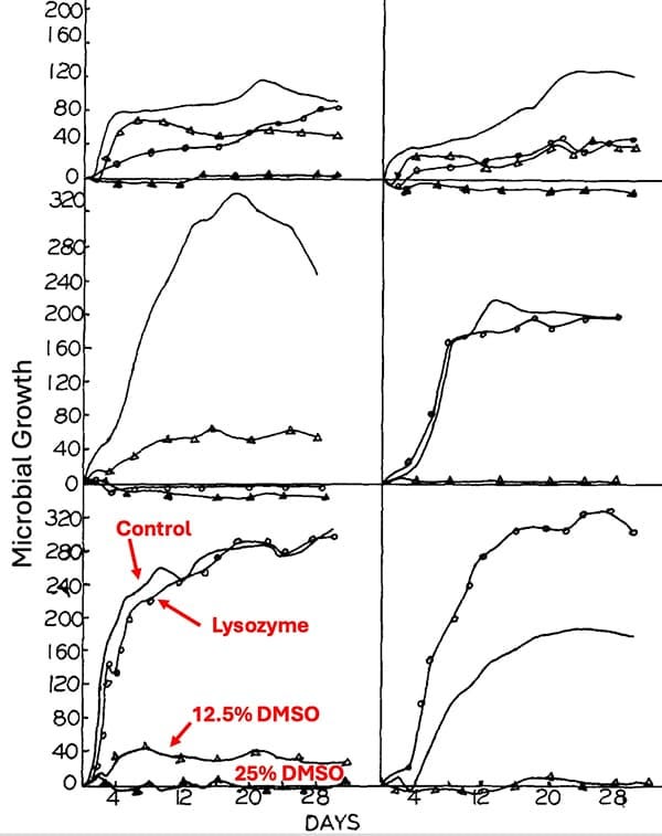 How DMSO Naturally Eliminates Cancers