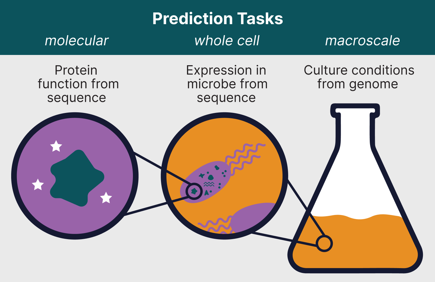 What Biology Can Learn from Physics