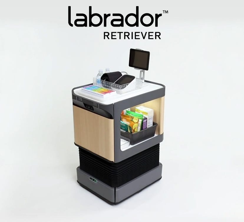 Labrador Retriever - Aging in Home Technology