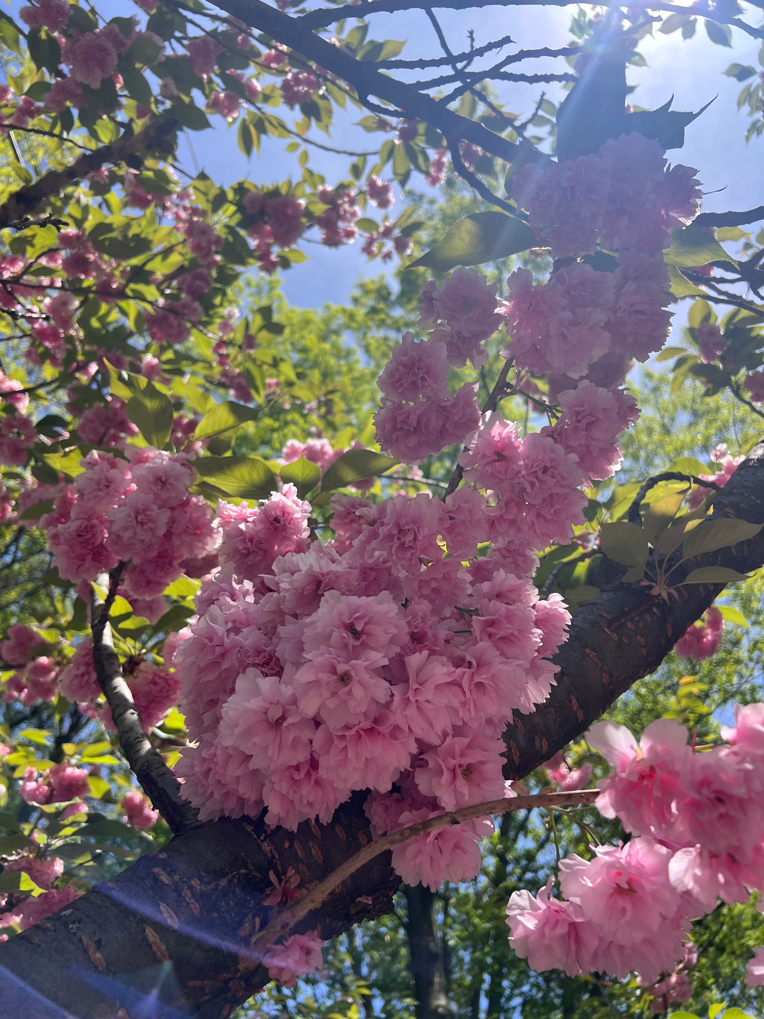 In our very - by Chaya Wilmowsky - Chaya’s Substack