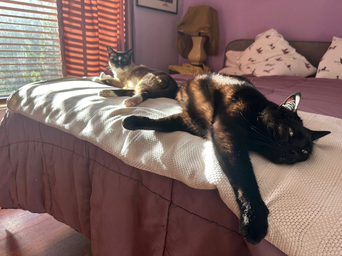 🌱 Sproutpeople News 🌱 - Sproutpeople’s Newsletter