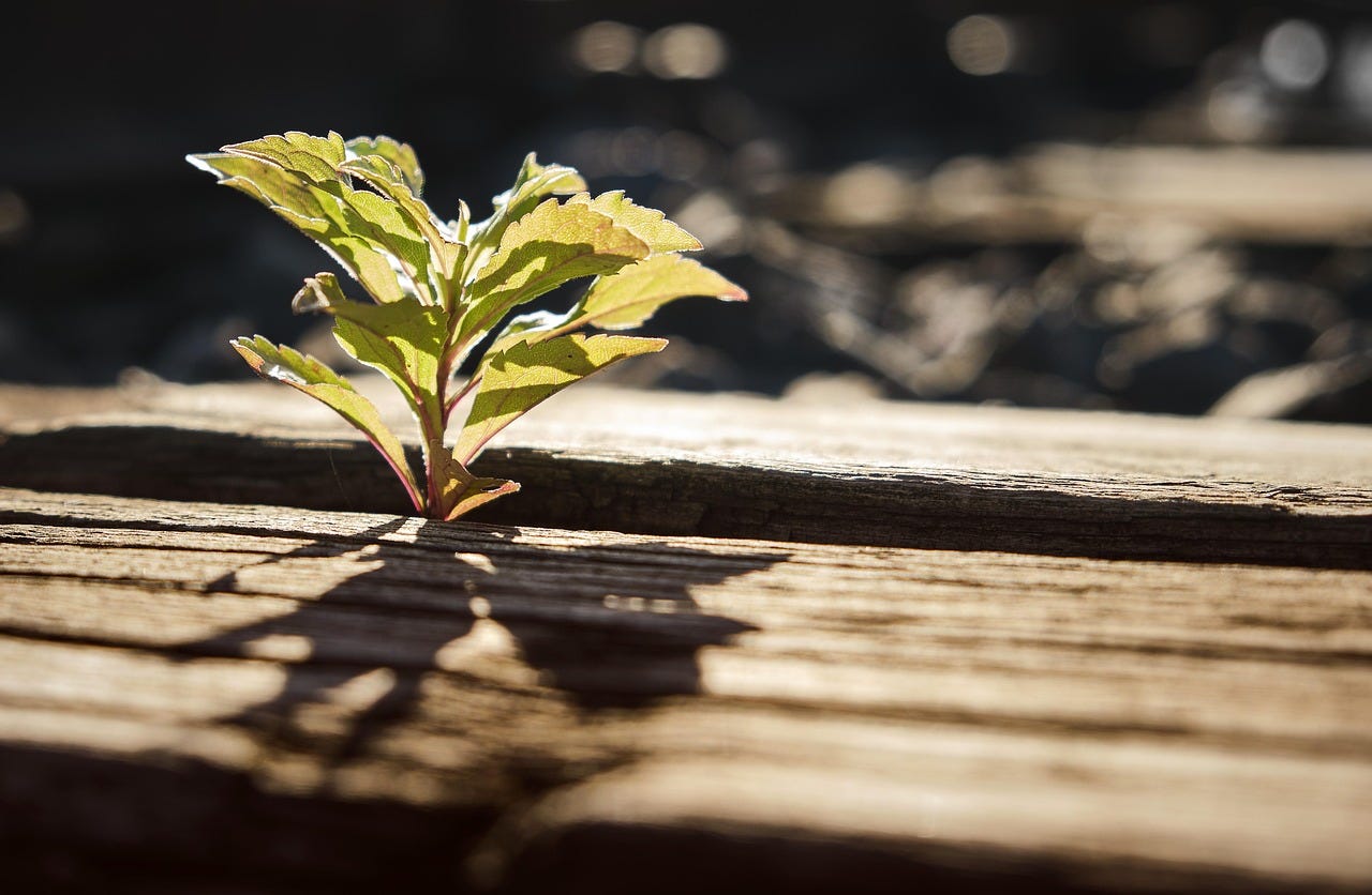 The Unstoppable Advance of Progress - by Rob J Kennedy