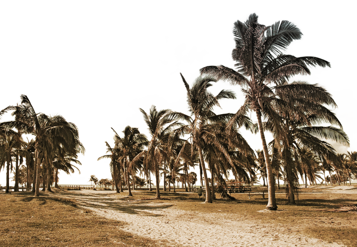 Dust - by Kate Boyette - unpublished