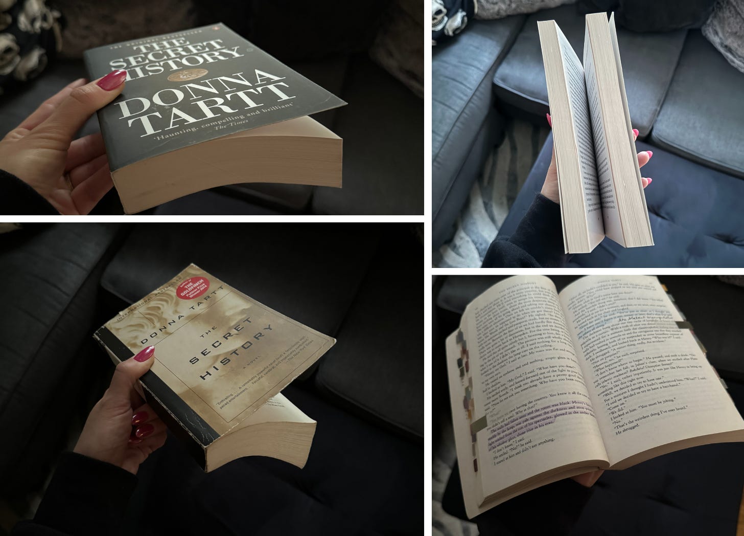 floppy paperback over everything - by Natalie McGlocklin