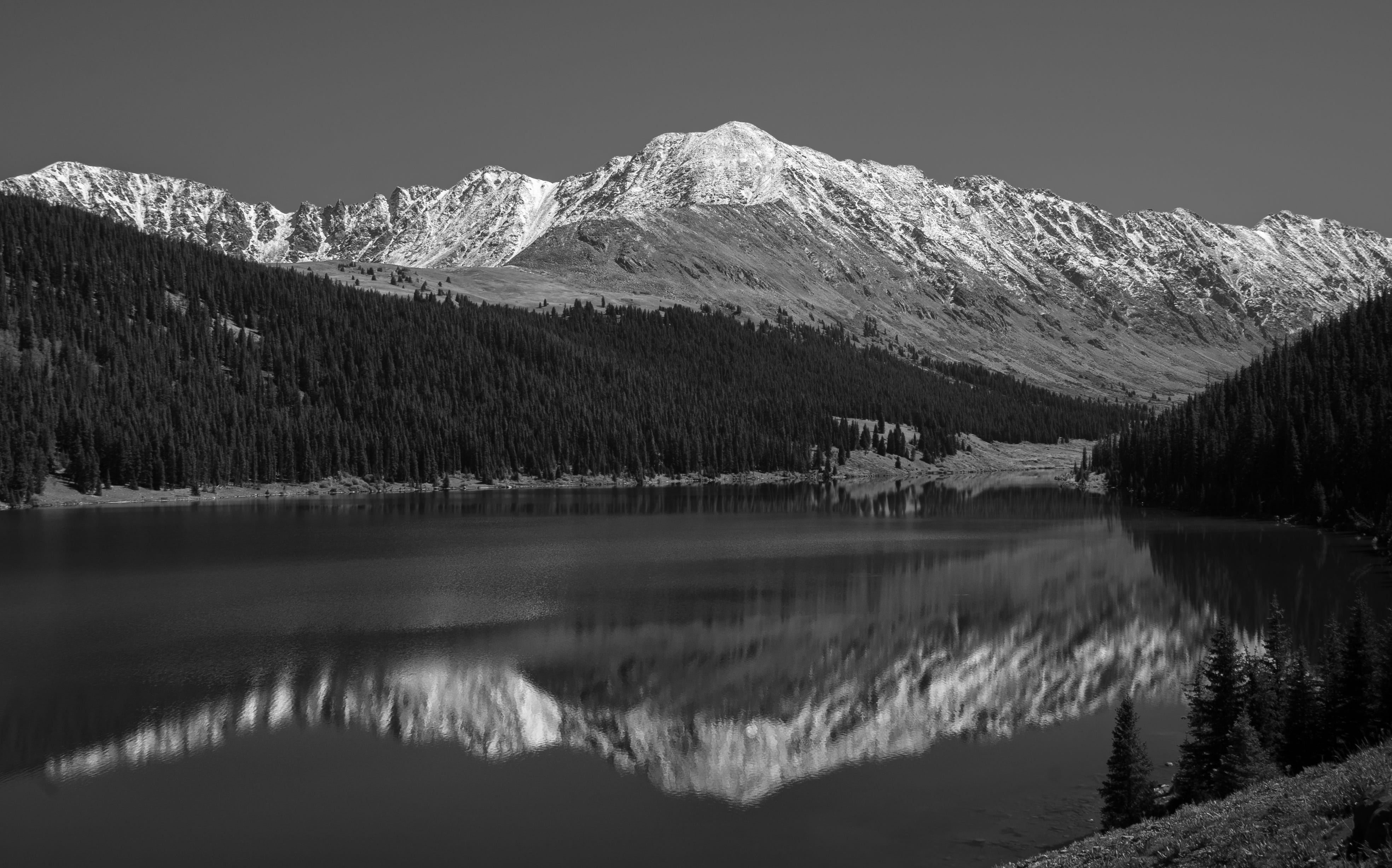 Short Stuff: Black and White - Dylan Fraley Photography