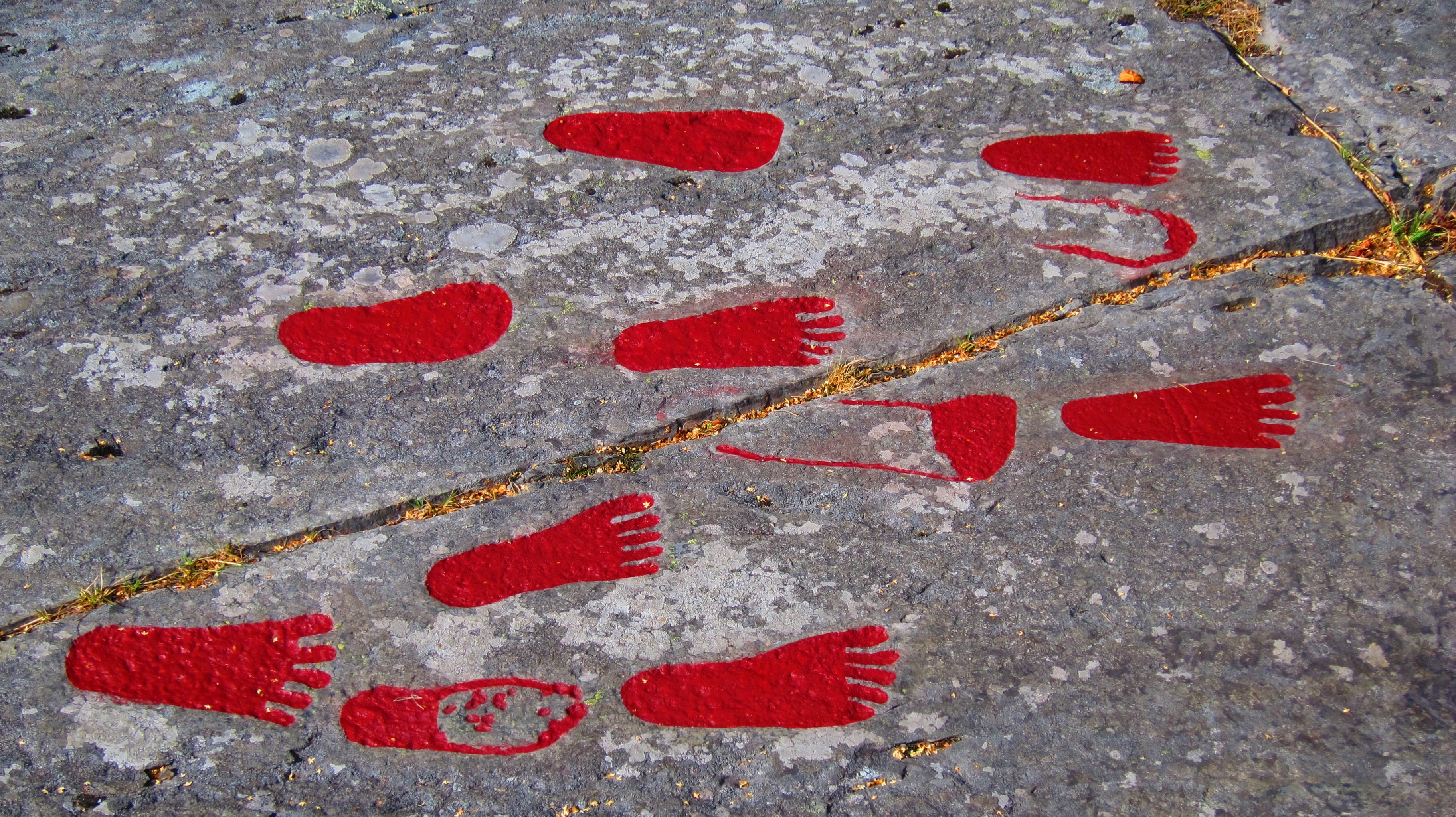 A Dream-Physics of the Northern Blot Ritual
