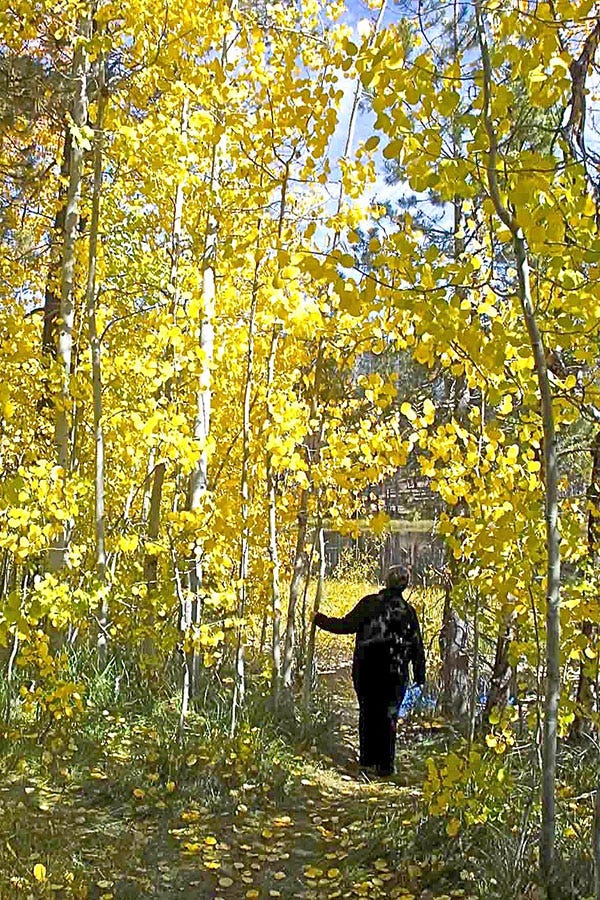 Where are You Lately? - by Tonya Morton - Juke