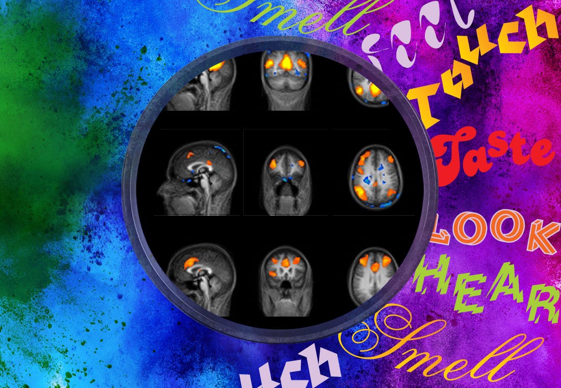 Sensorium #Smell - by Sarah Hyndman - Type Tasting News