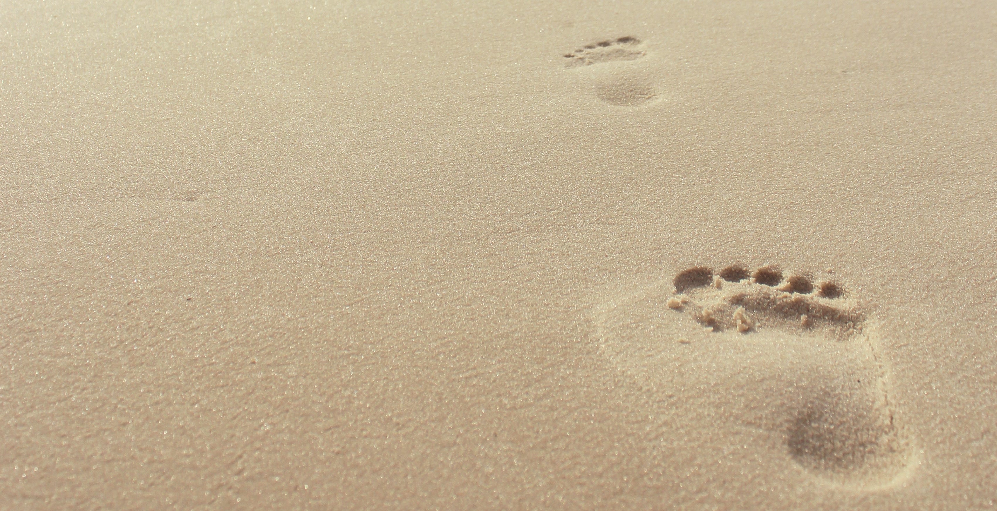 Empathy Walk Design Method - by Cameron Norman