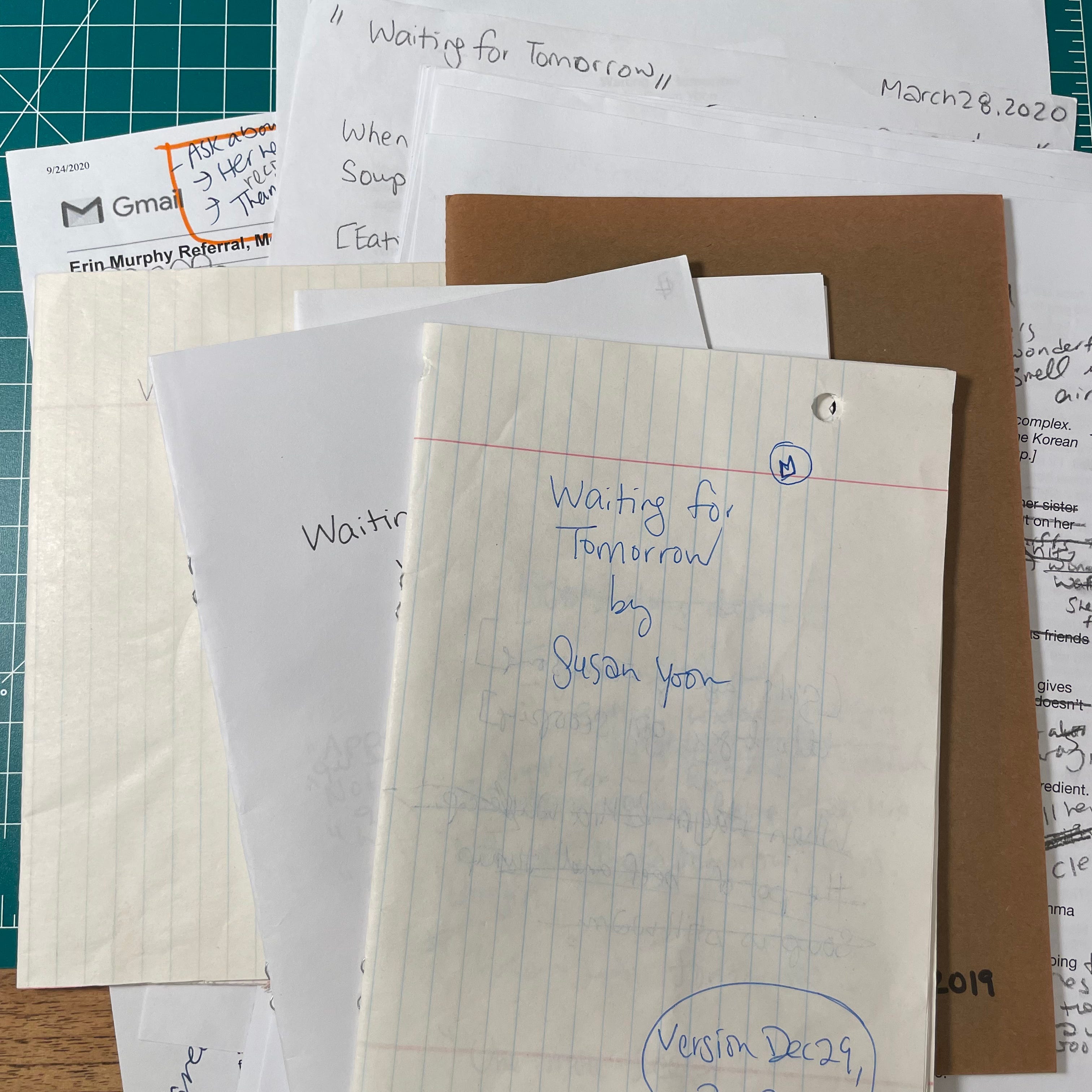 How I wrote my upcoming debut picture book - by Susan Yoon