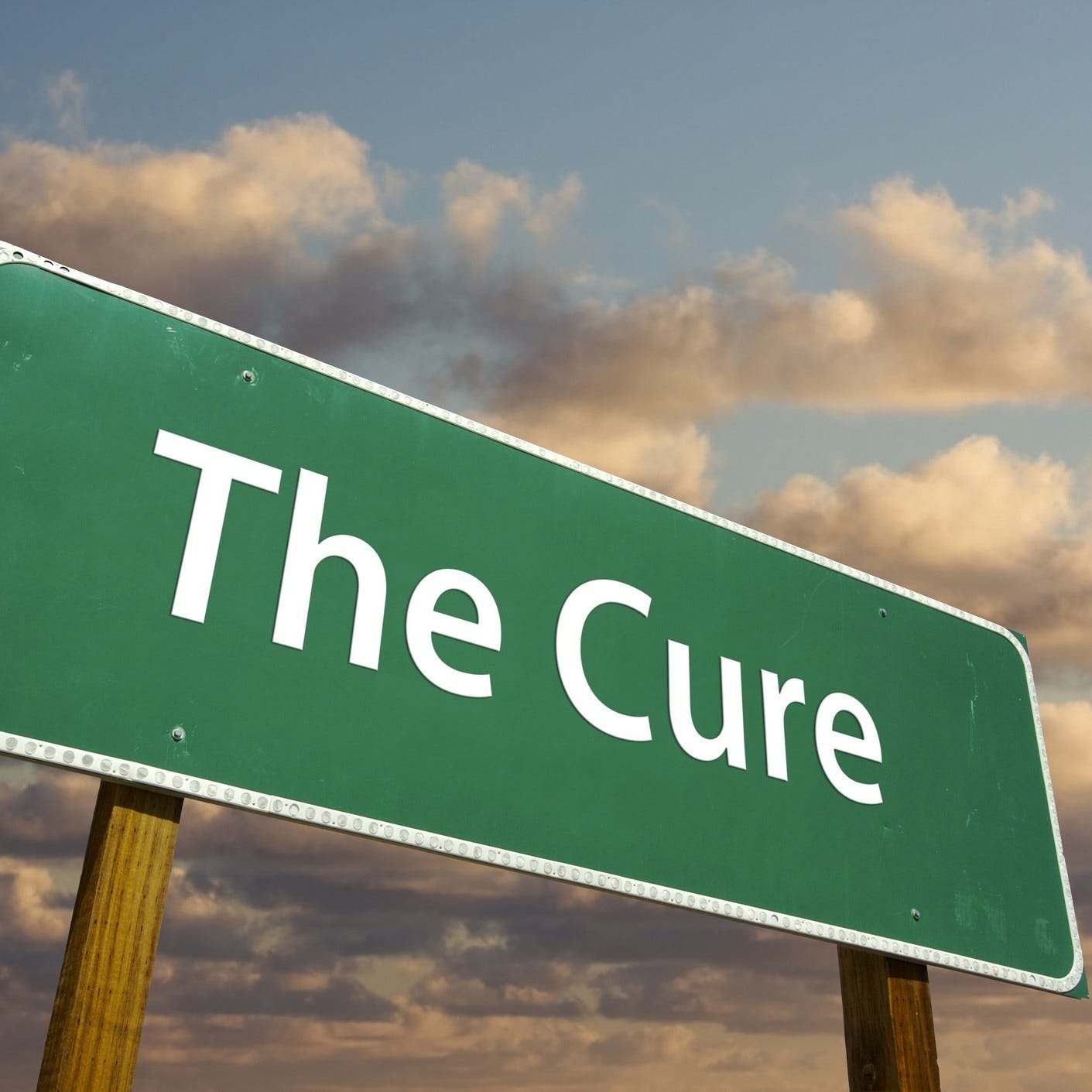To cure or not to cure MS, that is the question
