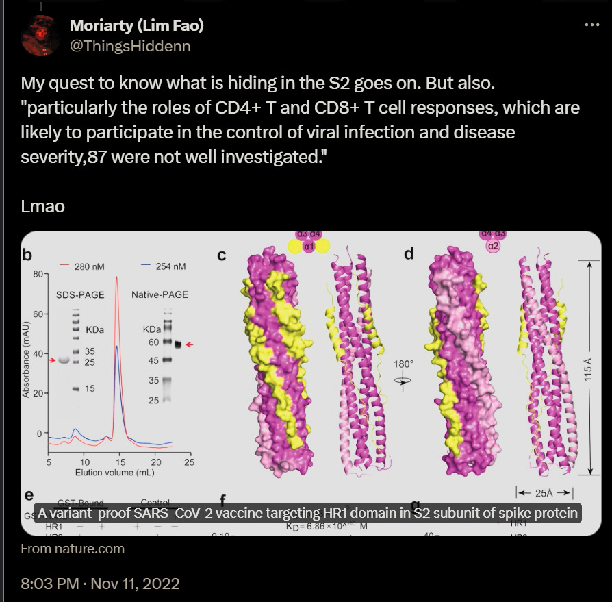 Spike Protein S2 inhibits p53 (cancer implications)