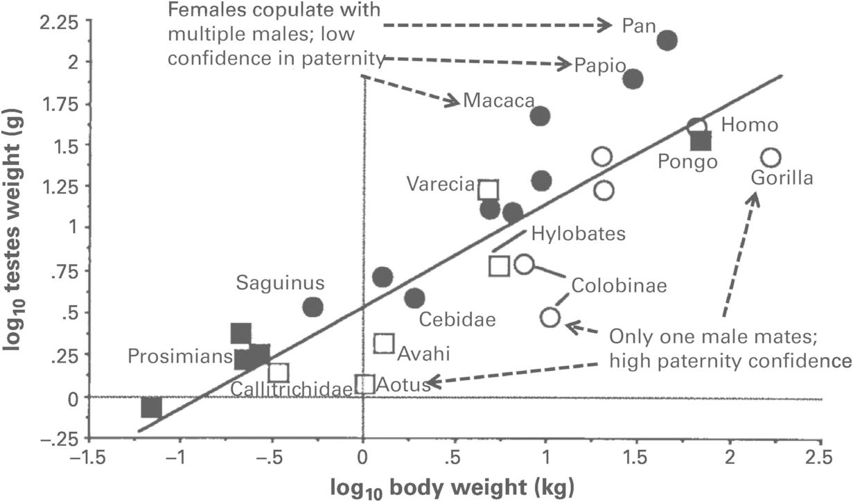 12 Things Everyone Should Know About Evolutionary Psychology