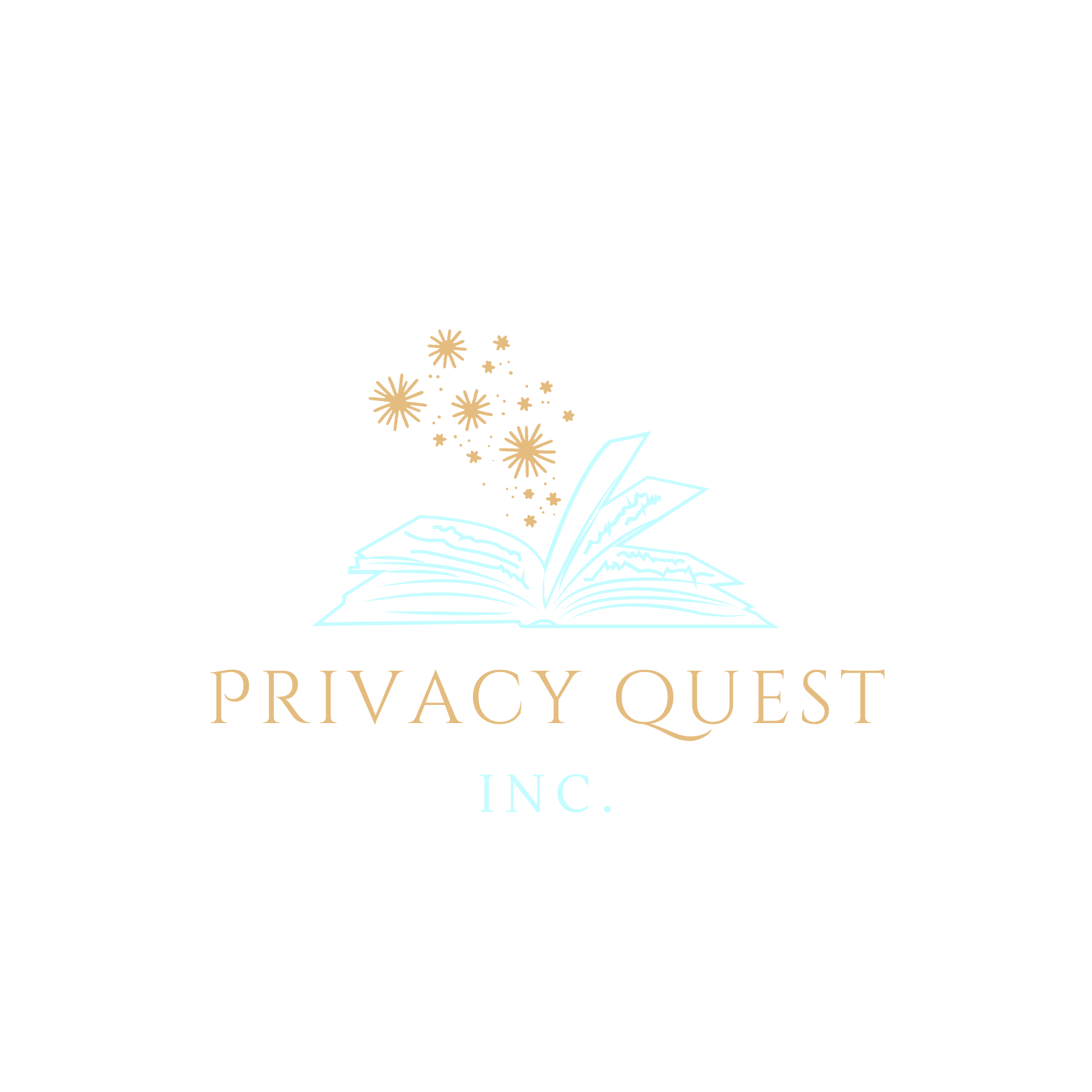 Privacy Quest! | Substack