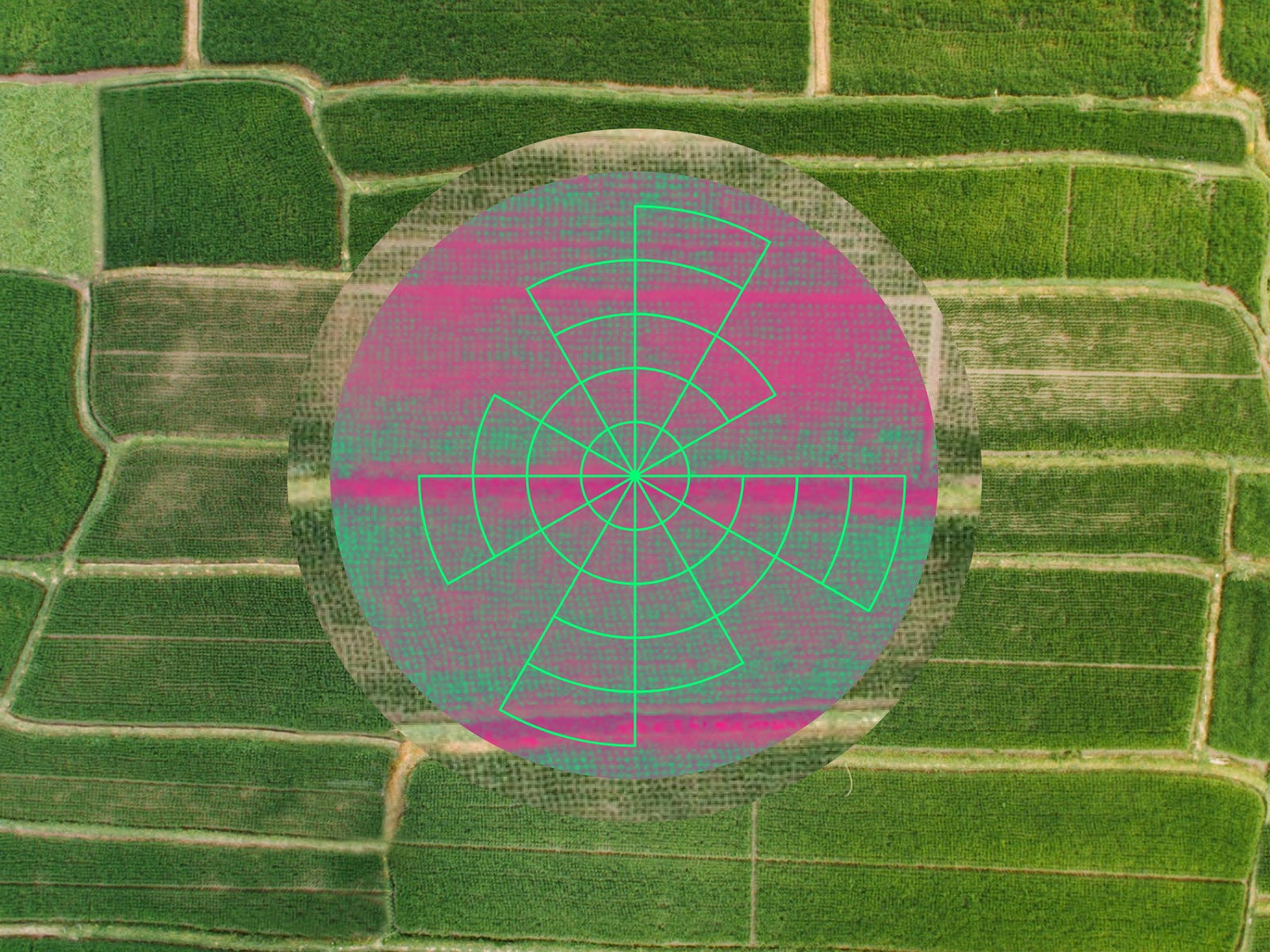 Hydrosat Achieves Unparalleled Accuracy with Its Crop Yield Forecast